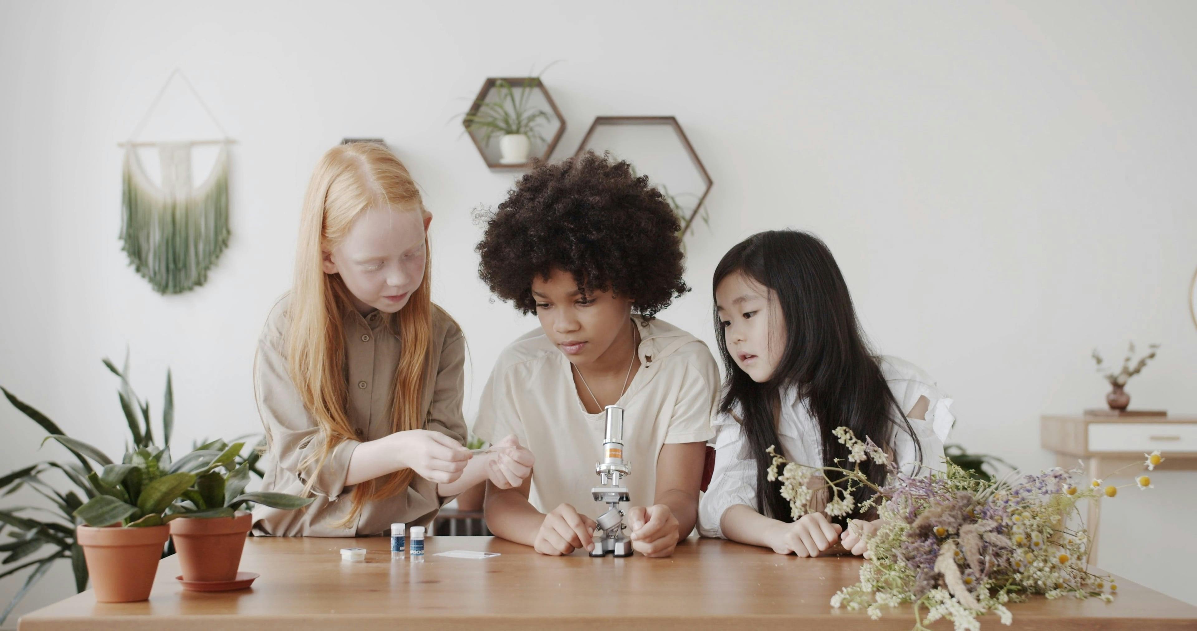 Tabletop Study Videos, Download The BEST Free 4k Stock Video Footage ...