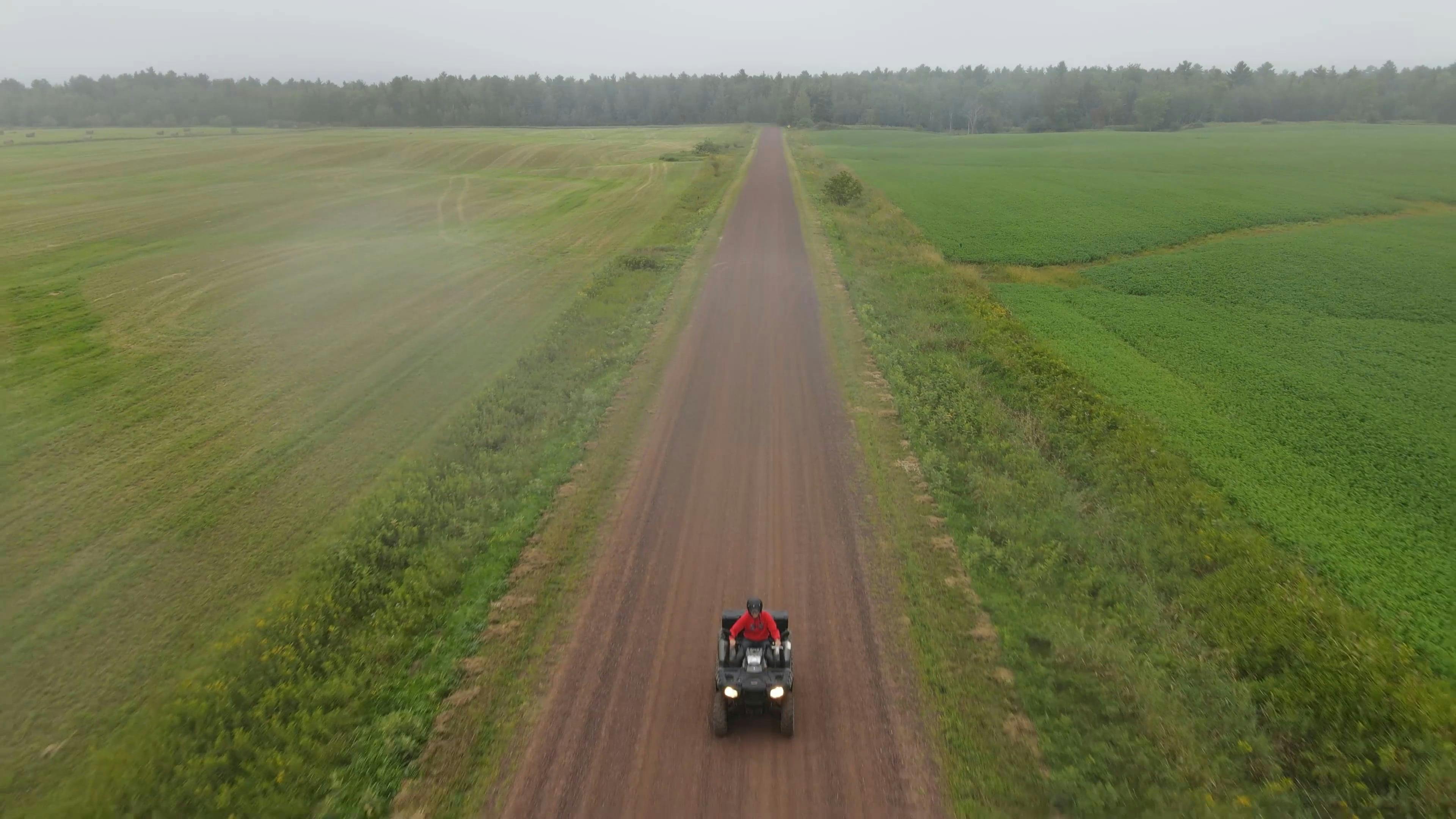 4,000+ Best Organic Farming Videos · 100% Free Download · Pexels Stock ...