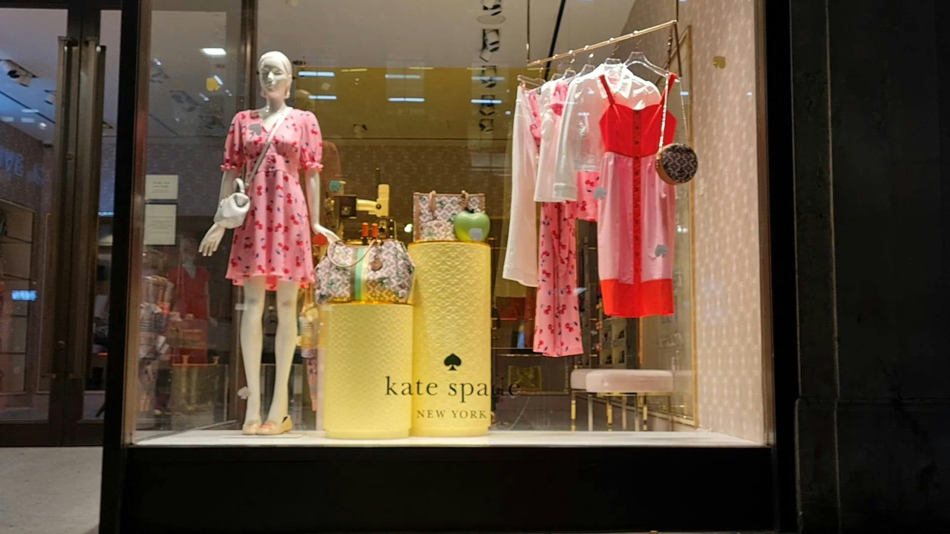 Window Shopping Free Stock Video Footage, Royalty-Free 4K & HD Video Clip