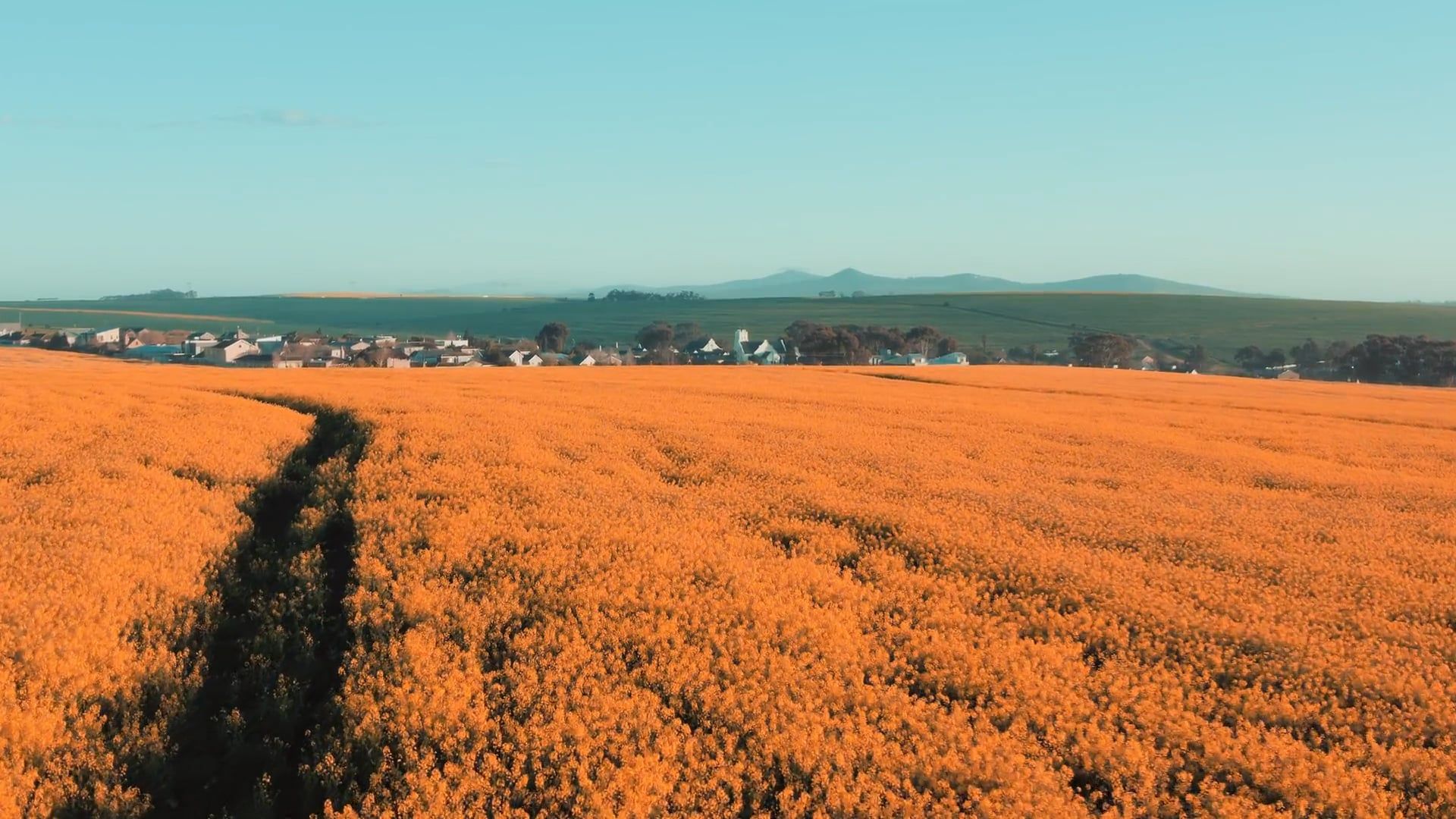 Broad Horizon Videos, Download The BEST Free 4k Stock Video Footage ...