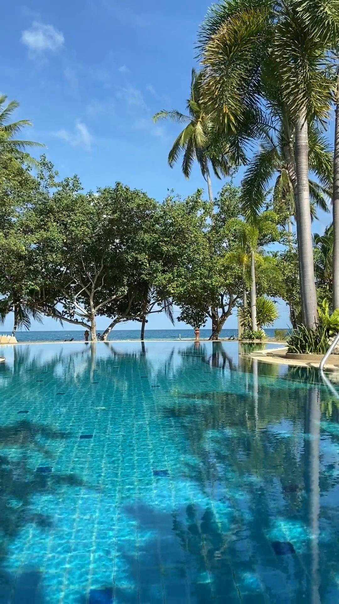 Resort Pool Area With View Of Beach Free Stock Video Footage, Royalty ...