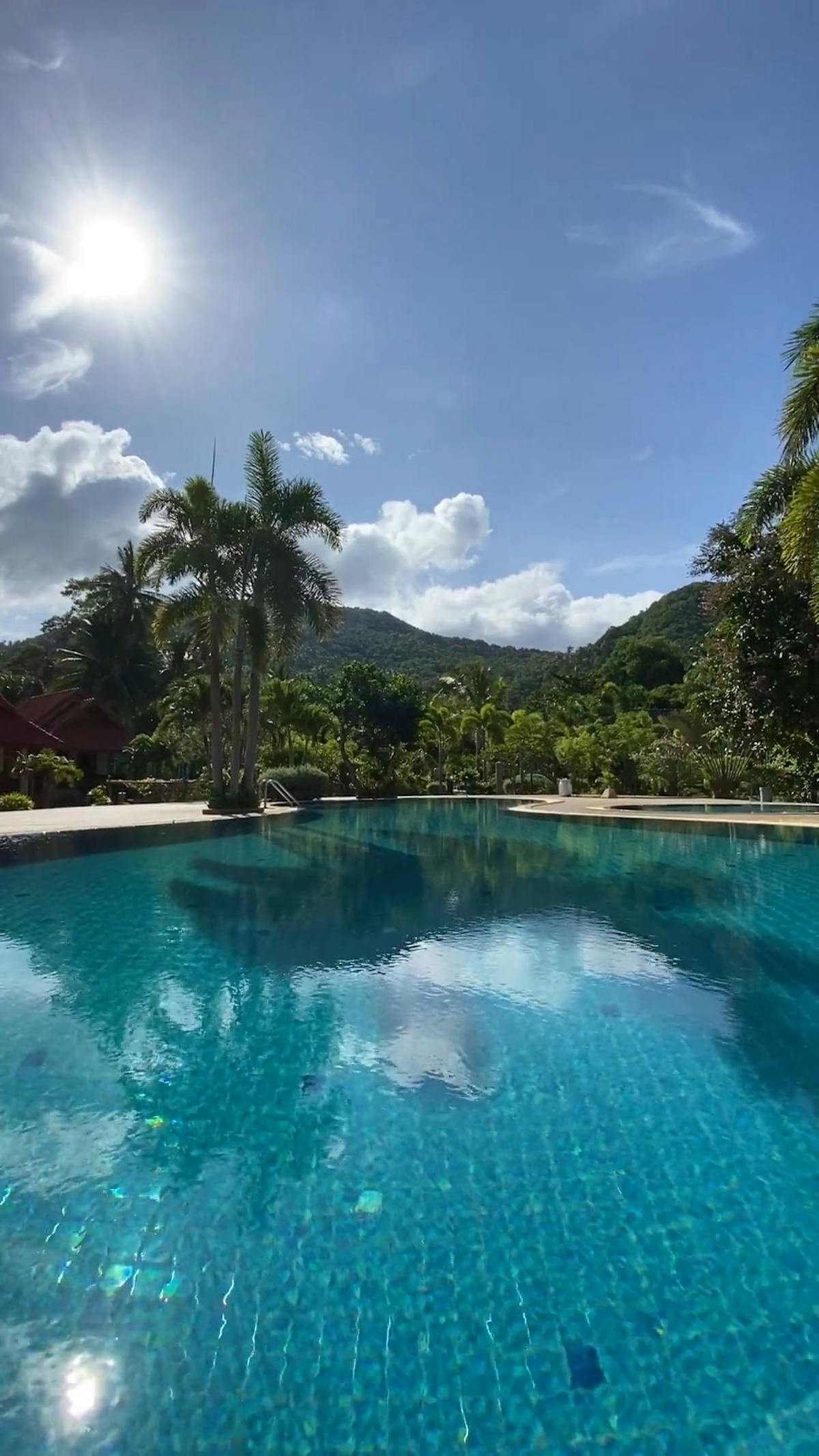 Coconut Trees Videos, Download The BEST Free 4k Stock Video Footage ...