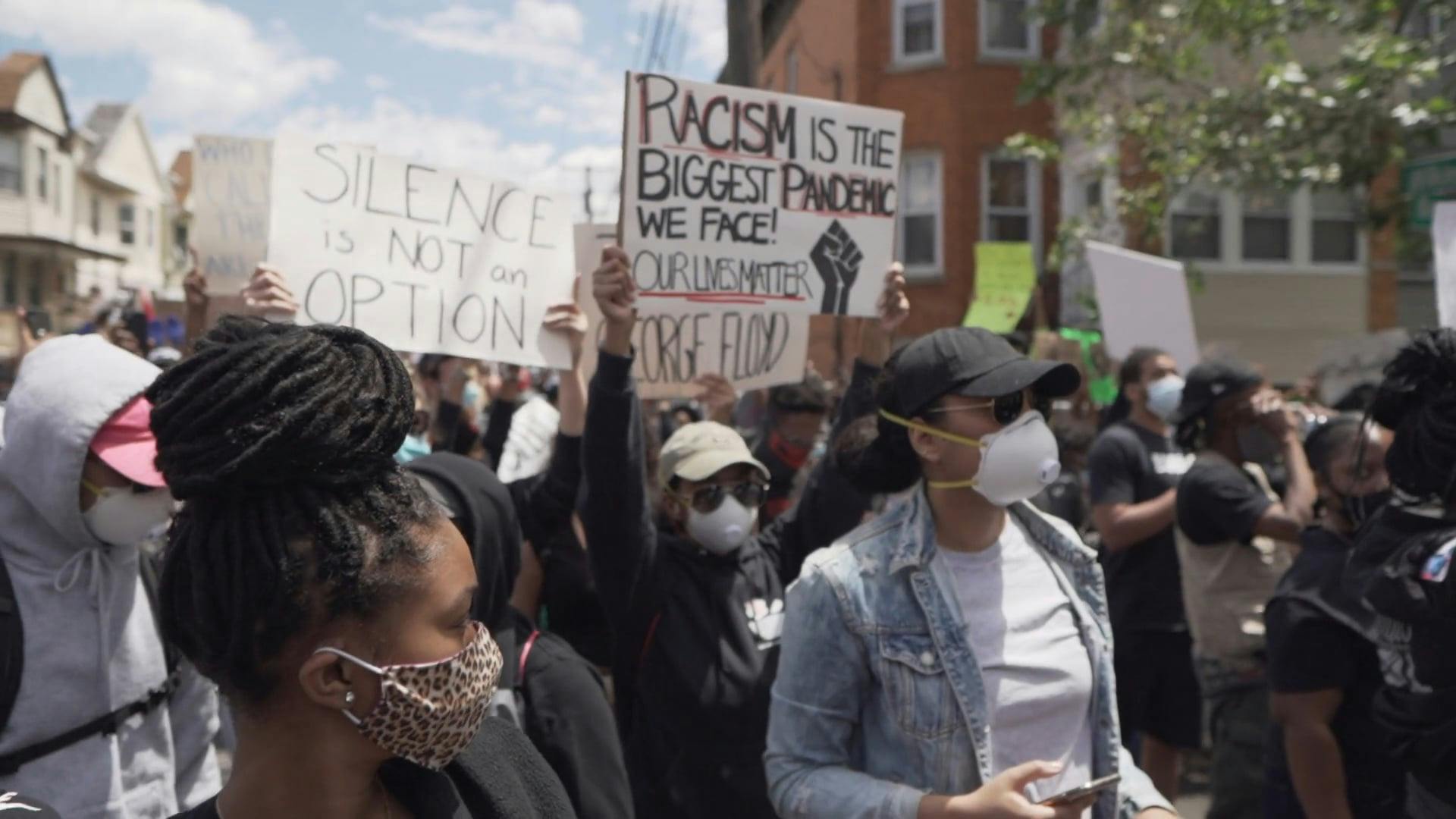 People Protesting and Holding Placards · Free Stock Video