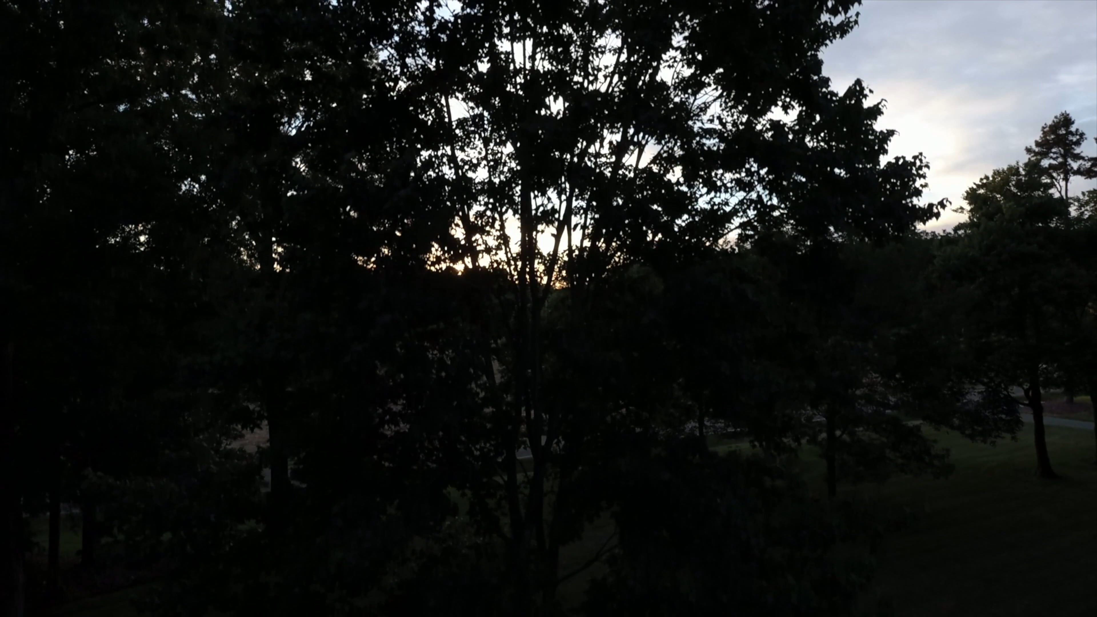Green At Golden Hour Videos, Download The BEST Free 4k Stock Video ...
