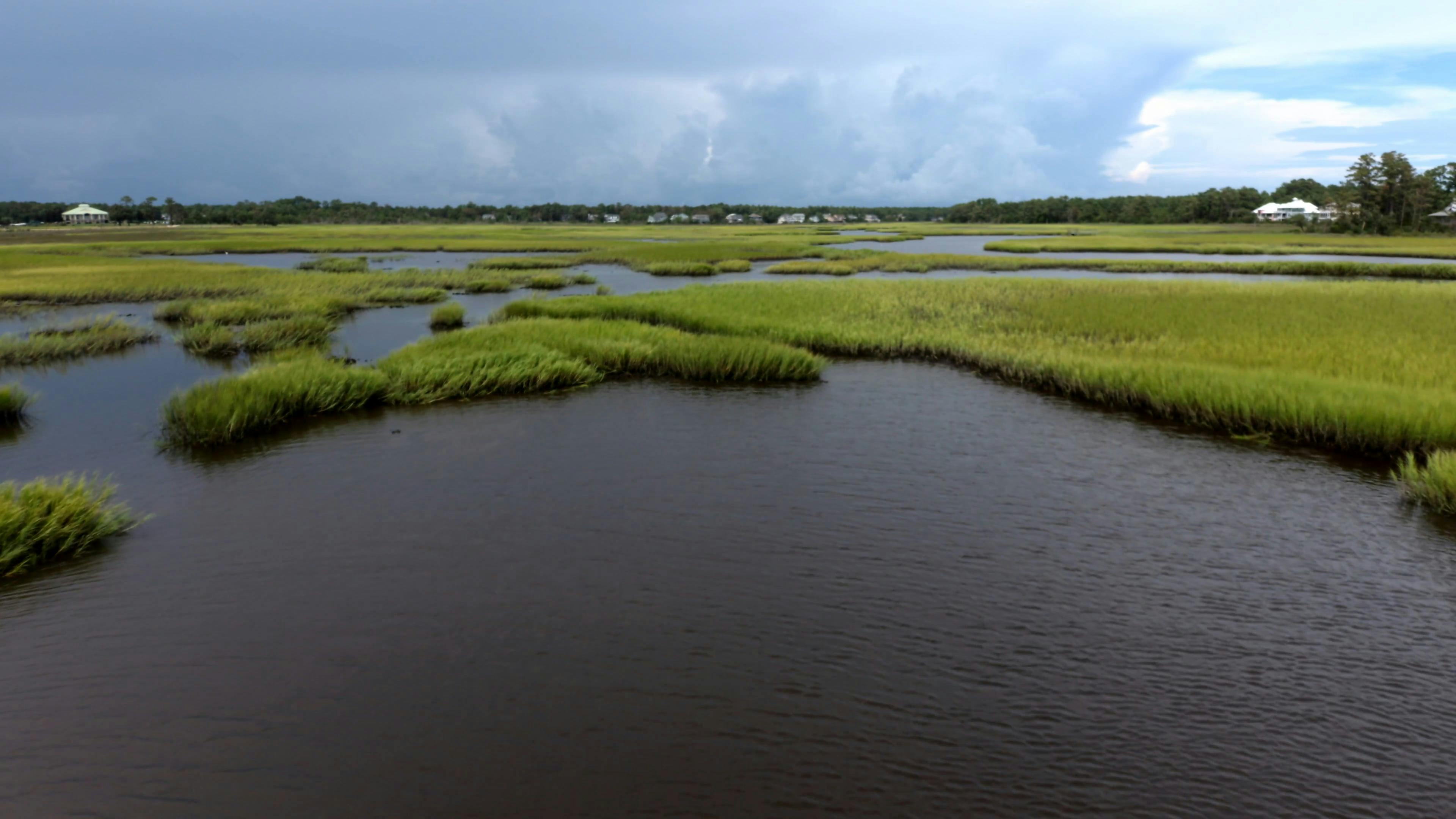 A Drone Video of a Marsh Landscape · Free Stock Video