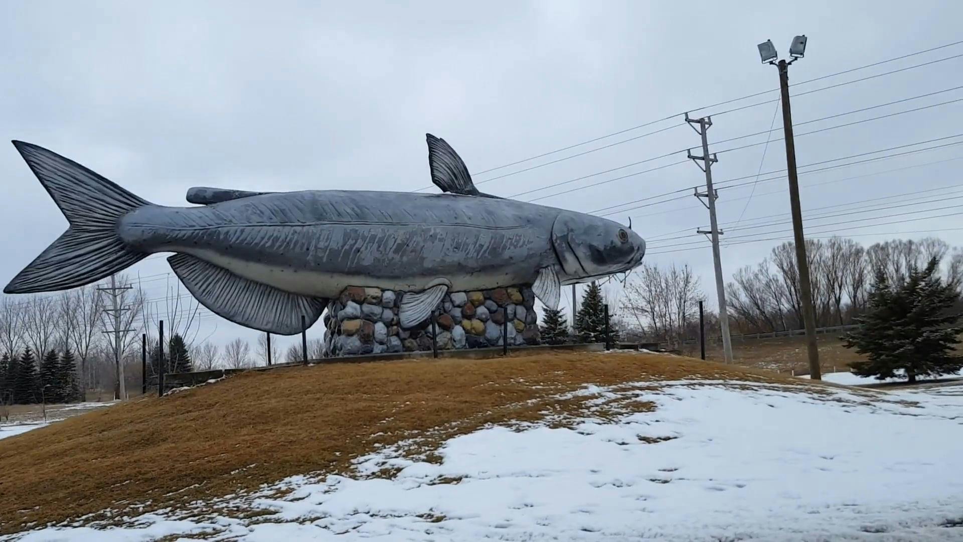 Crazy Eagle – Fotografia