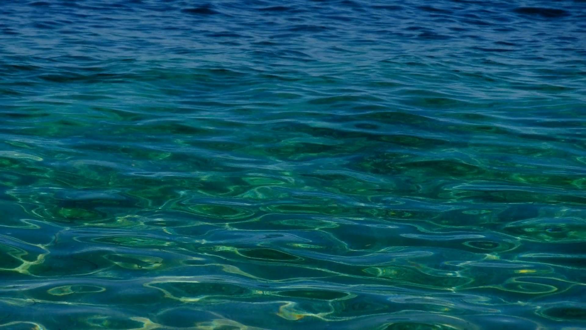 Calm Water Surface · Free Stock Video