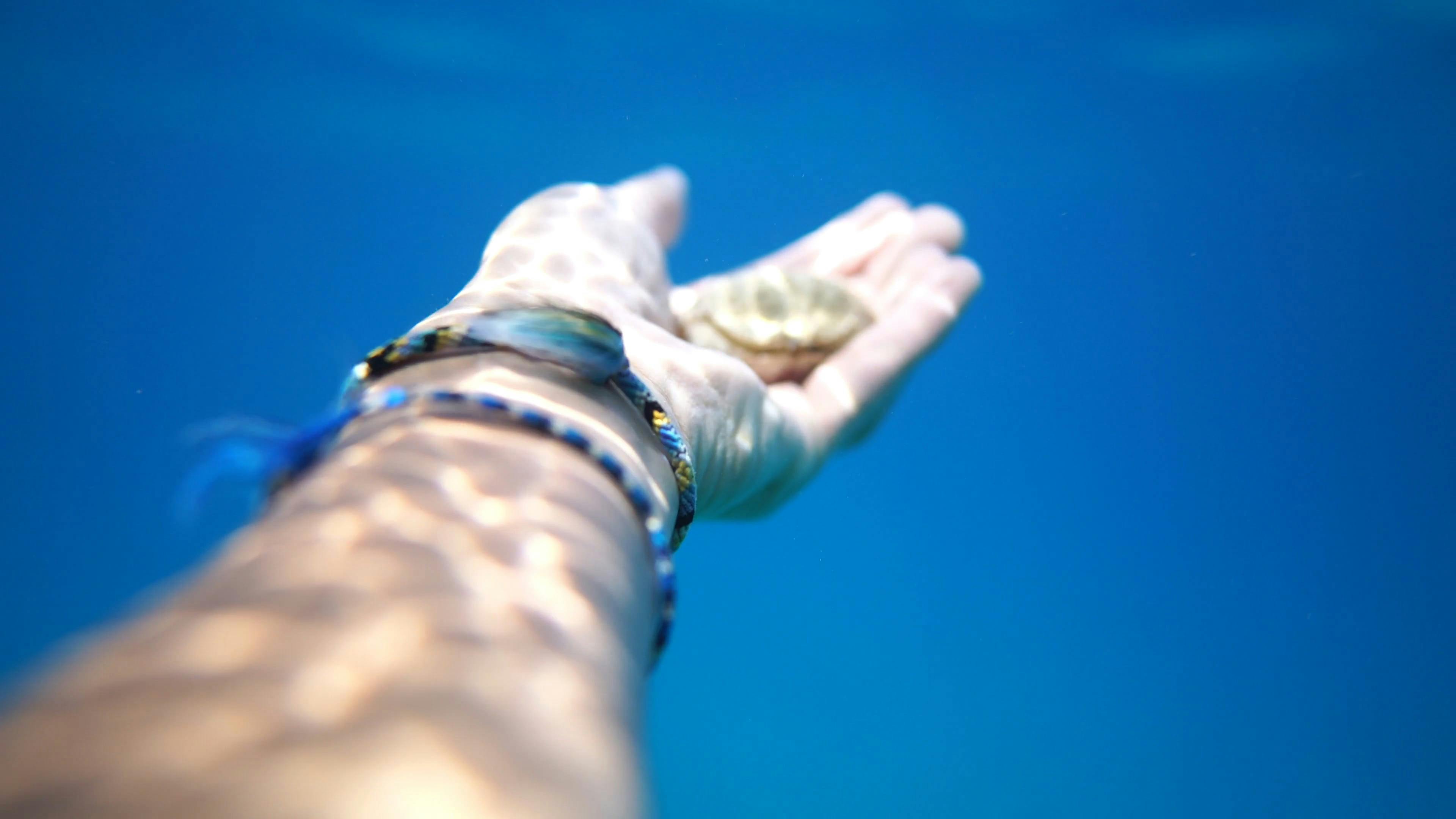 Ocean Immersion Videos, Download The BEST Free 4k Stock Video Footage ...