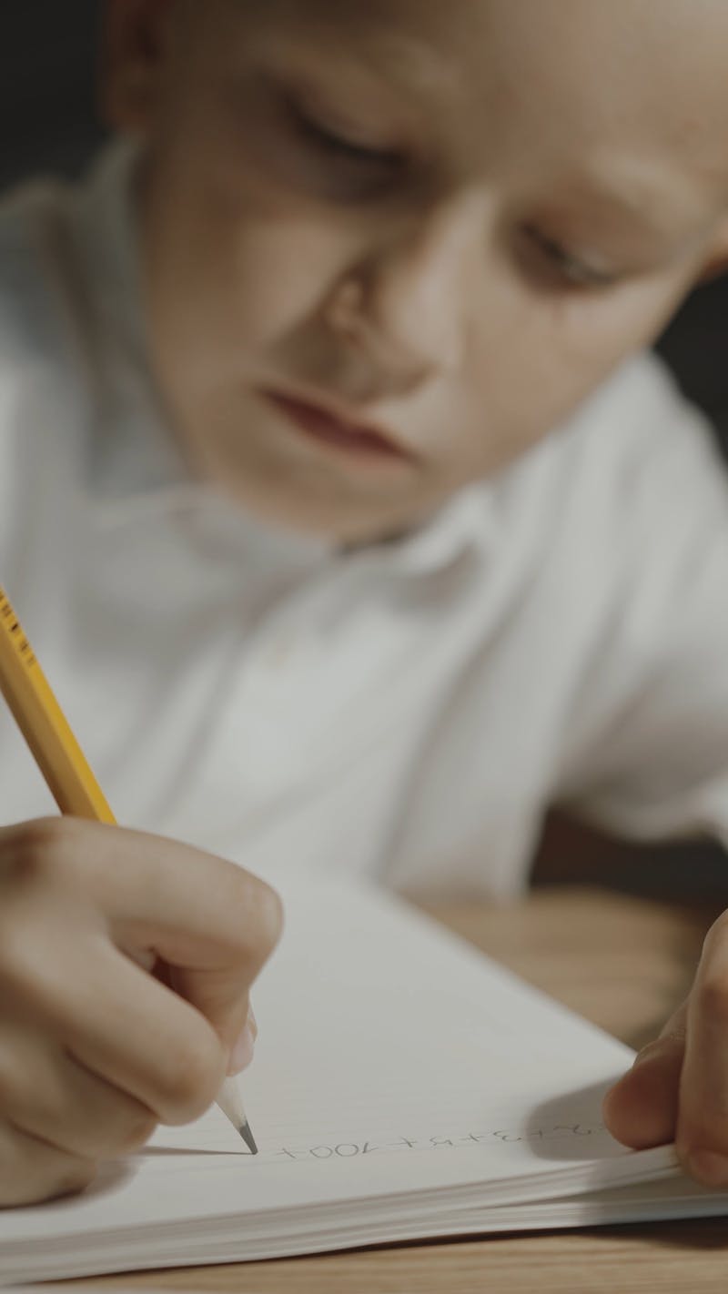 有关一對 一起 功課 坐 多樣化 學生們 學習 寫作 年輕 研究 青少年的免费素材视频
