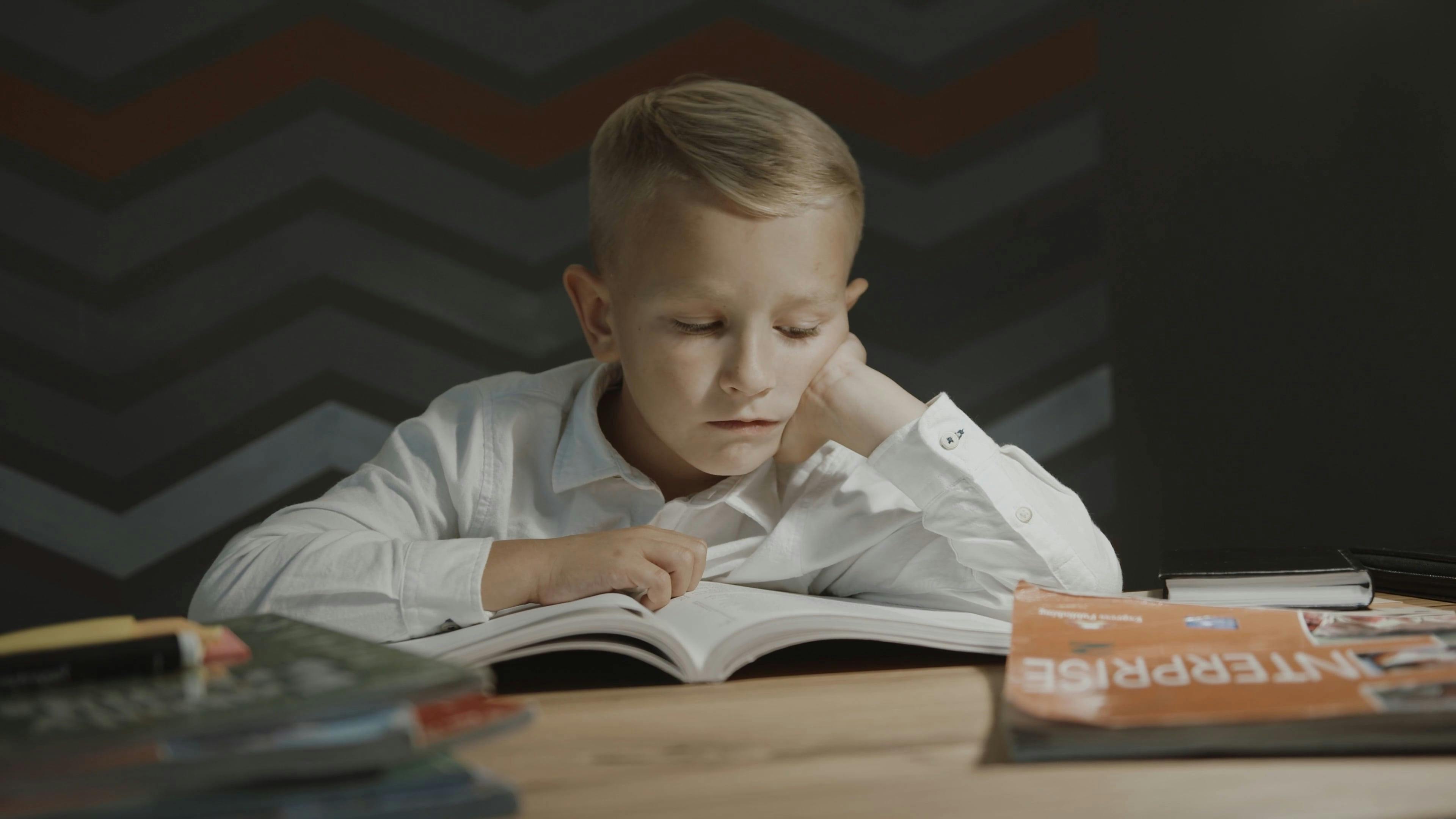 Smart Boy Reading his Book · Free Stock Video