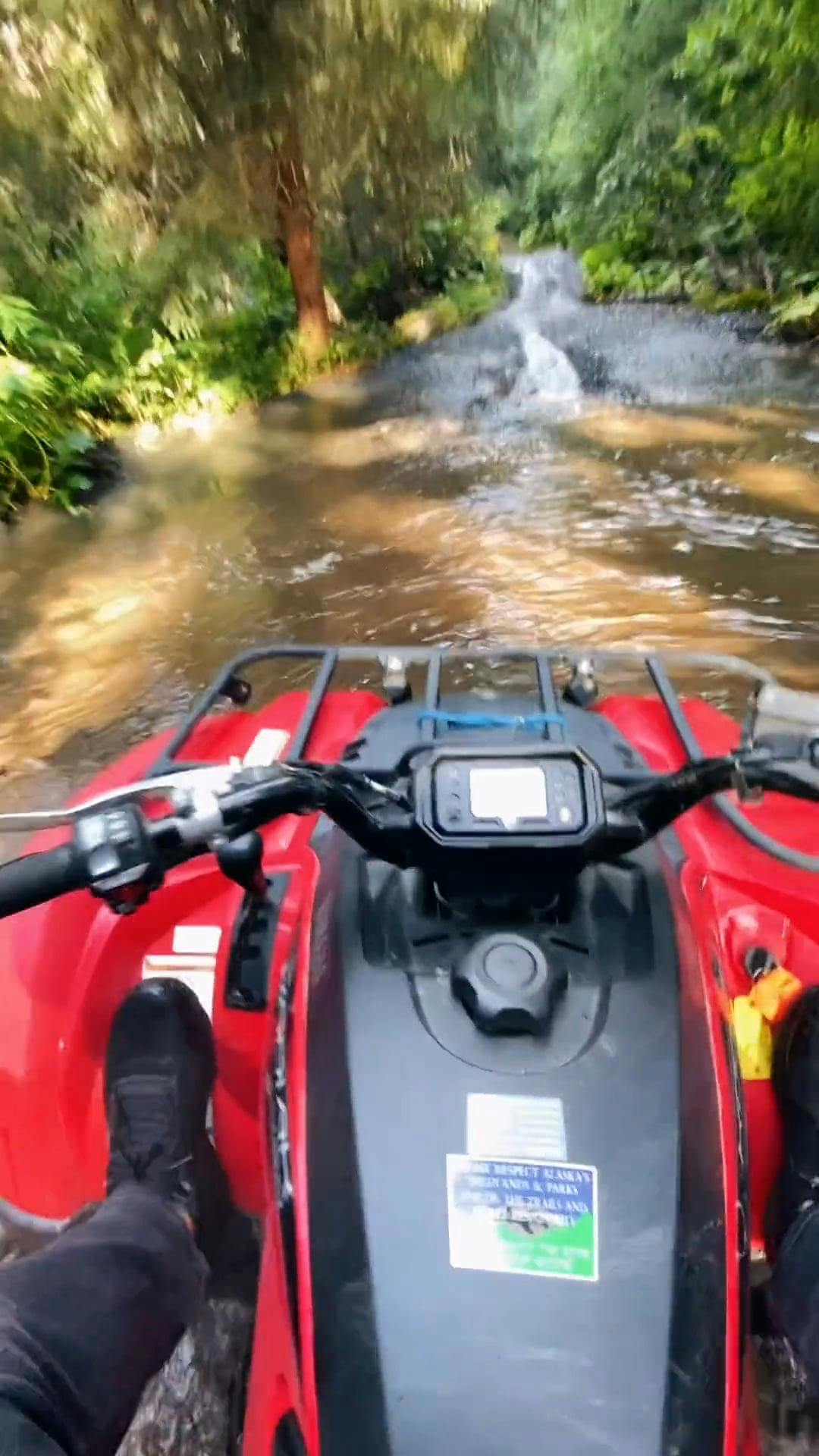 A Person Riding a Quad Bike in the Middle of the Forest · Free Stock Video