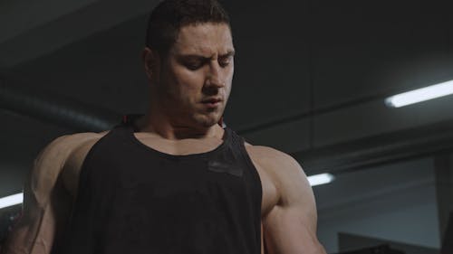 有关举重 人 健美運動者 健身 健身中心 健身器材 健身房 健身房锻炼 健身模特兒 傢伙 勤劳 啞鈴 坚强的人 室內