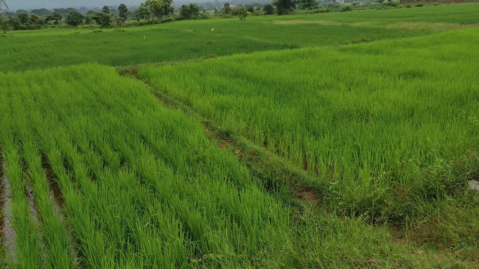 Odisha Videos, Download The BEST Free 4k Stock Video Footage & Odisha ...
