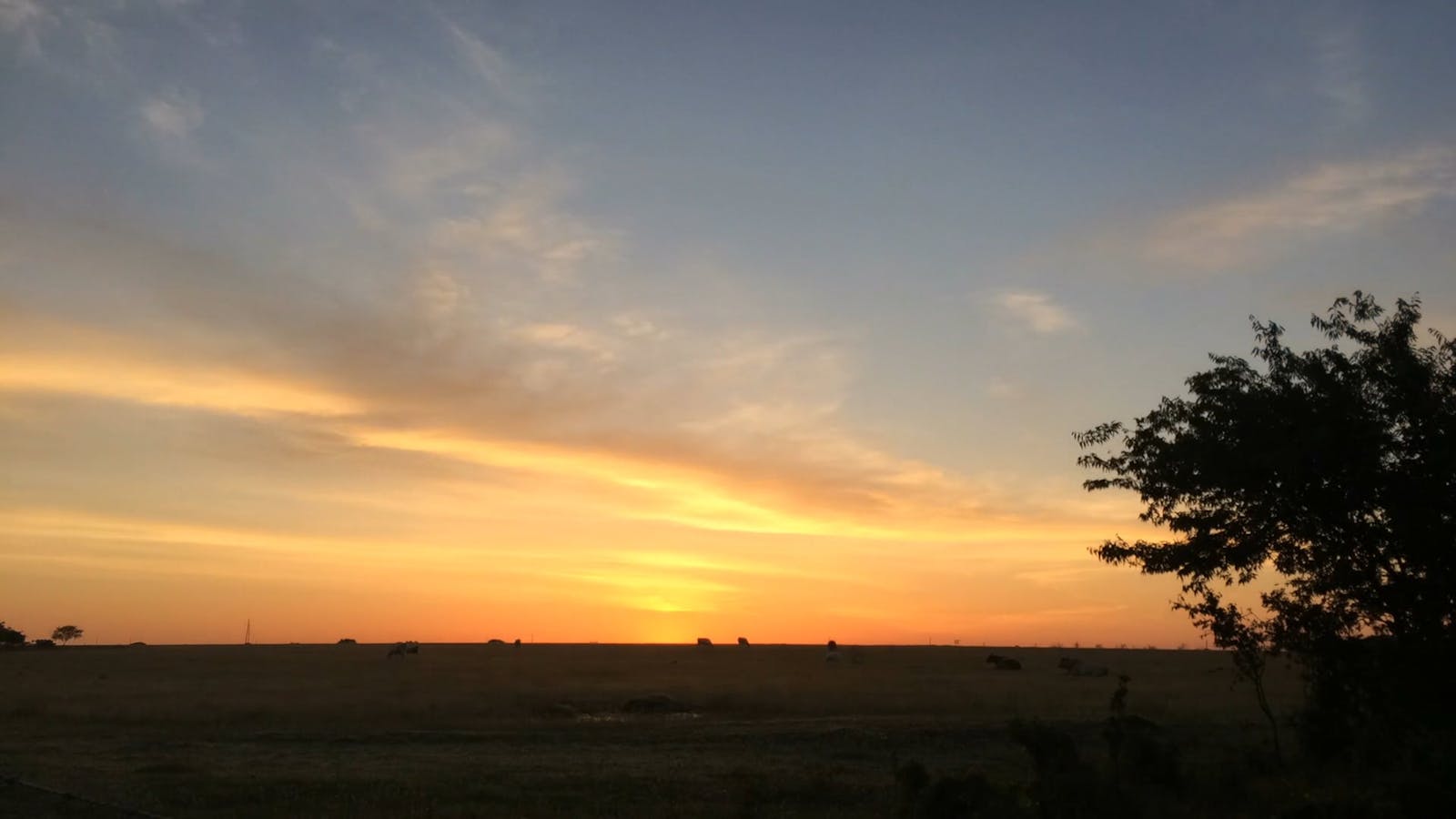 Moving Sky Videos, Download The BEST Free 4k Stock Video Footage ...