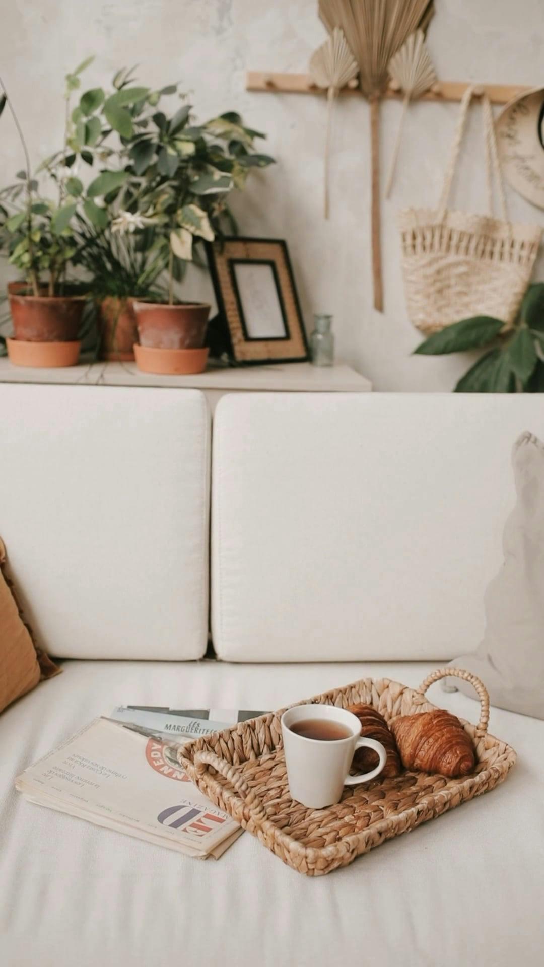 Throw Coffee Videos, Download The BEST Free 4k Stock Video Footage ...