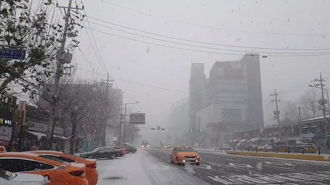 Snow Falling Video Free Stock Video Footage, Royalty-Free 4K & HD Video ...