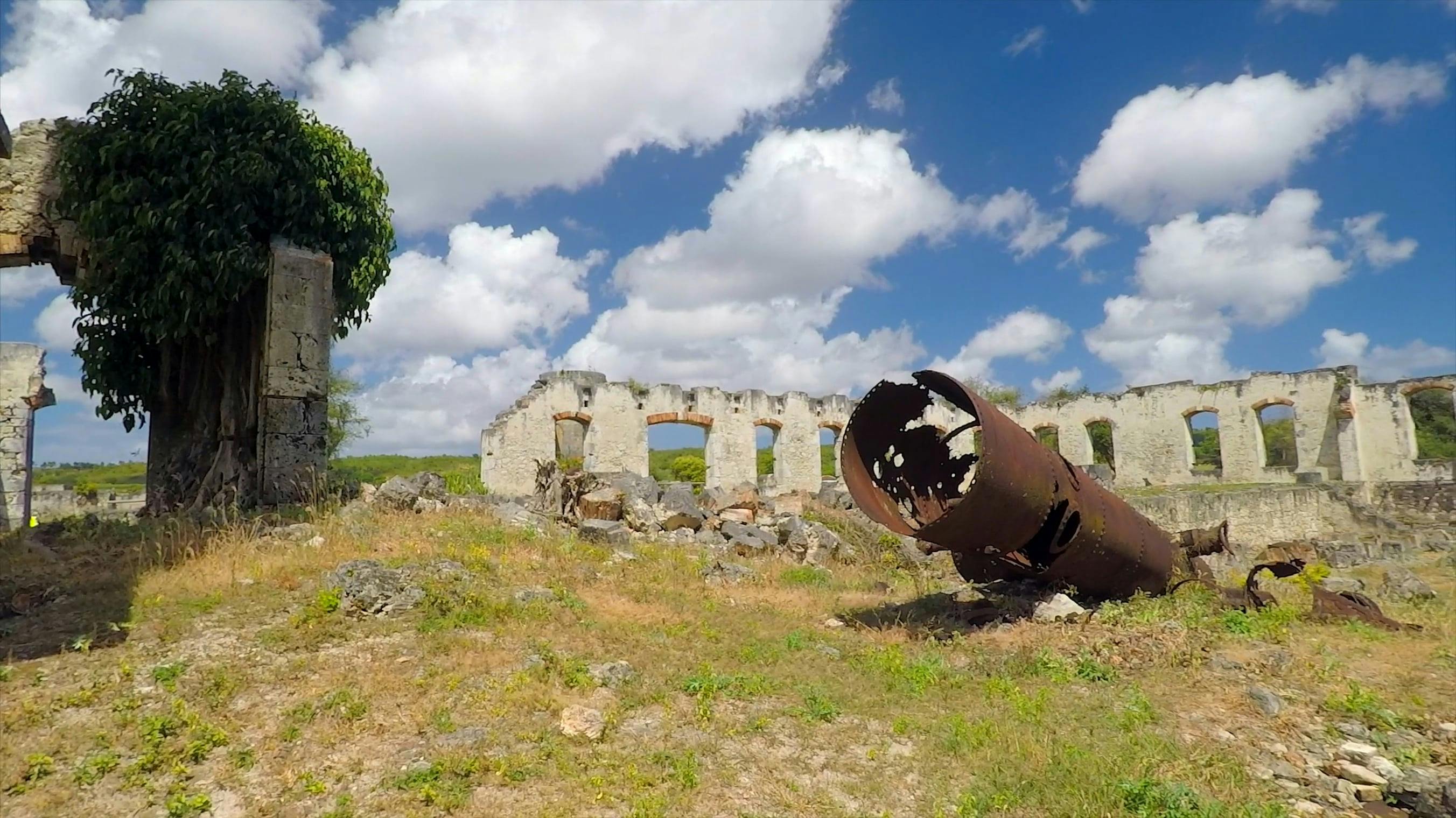 Destroyed Field Videos, Download The BEST Free 4k Stock Video Footage ...