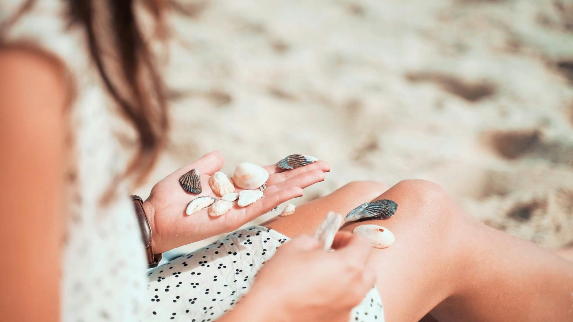 Seashell Collection Videos, Download The BEST Free 4k Stock Video ...