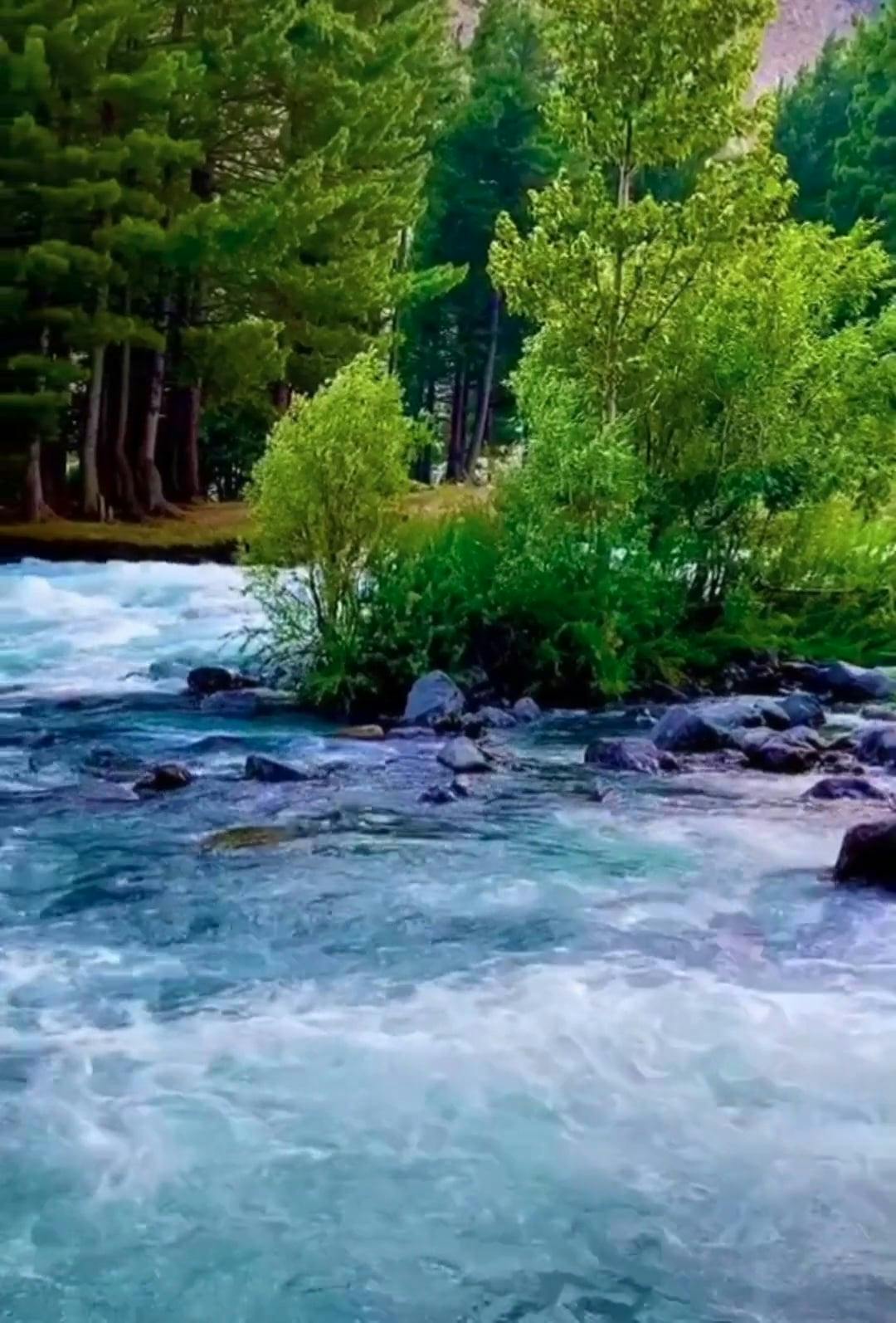 Haider Sultan - Fotografía