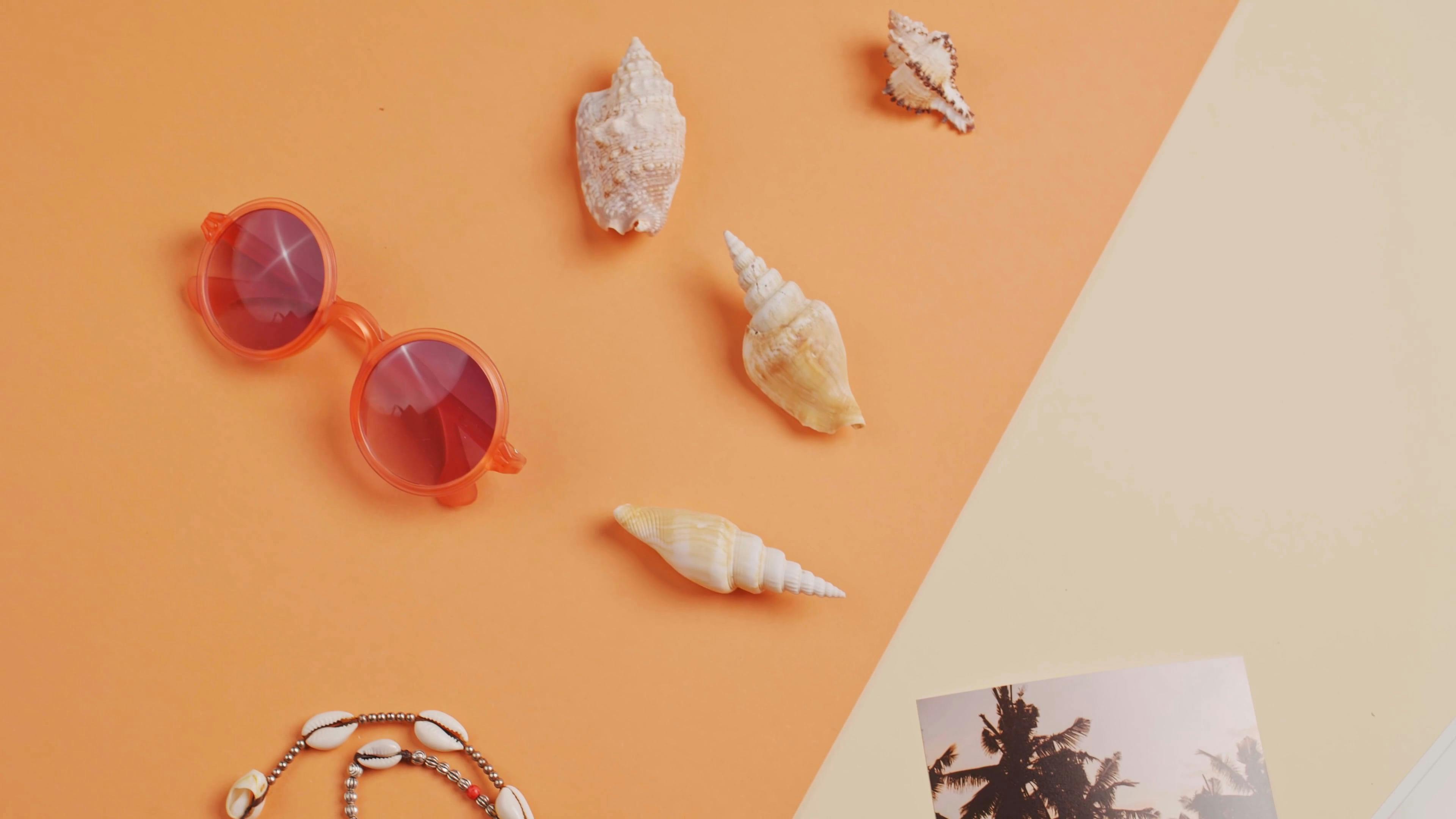 Shells Photos Download Videos, Download The BEST Free 4k Stock Video ...