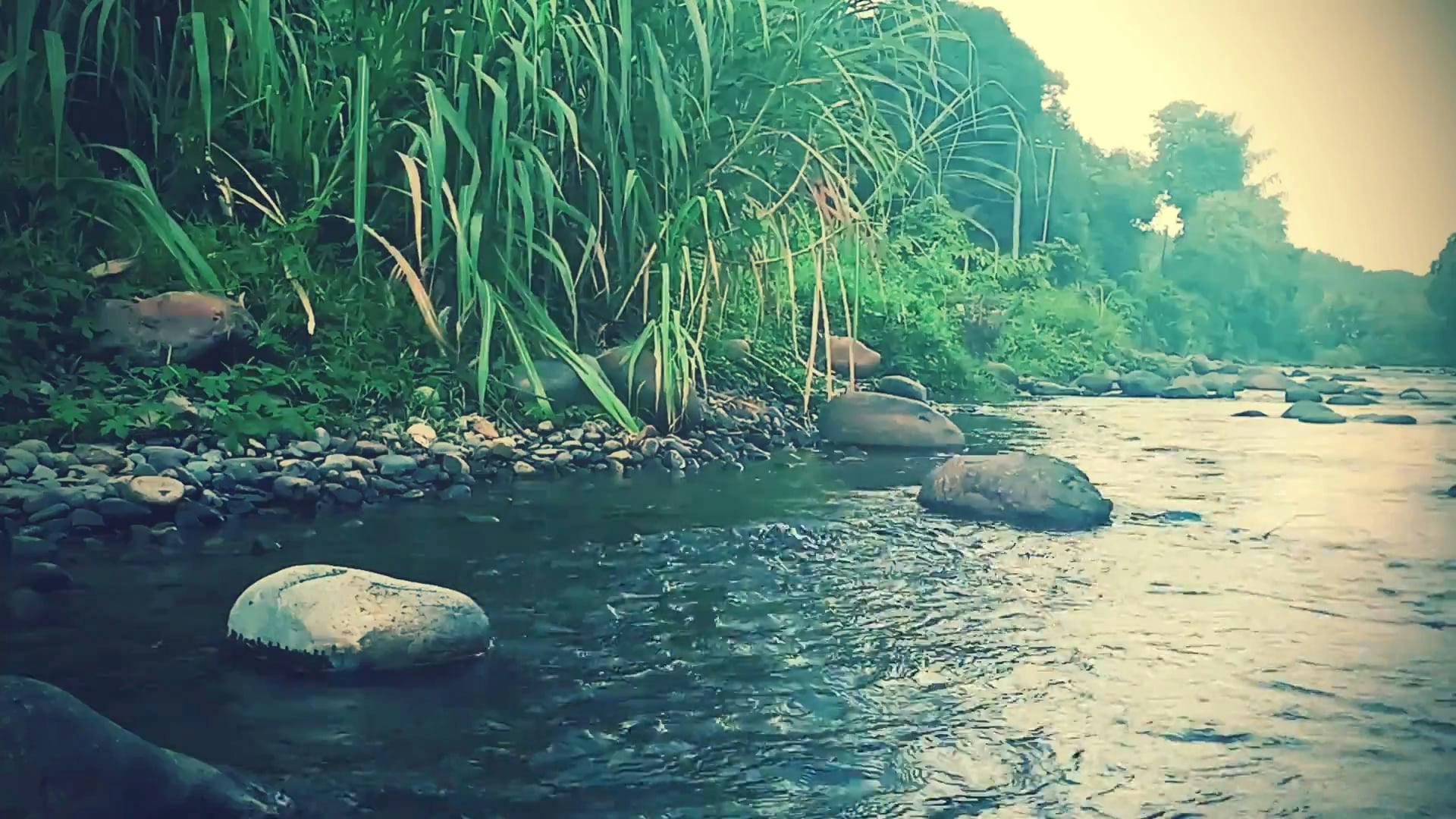 A Footage of a River · Free Stock Video
