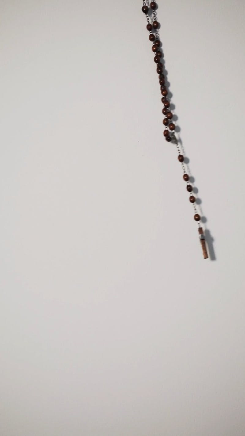 Transparent Background Videos, Download The BEST Free 4k Stock Video ...