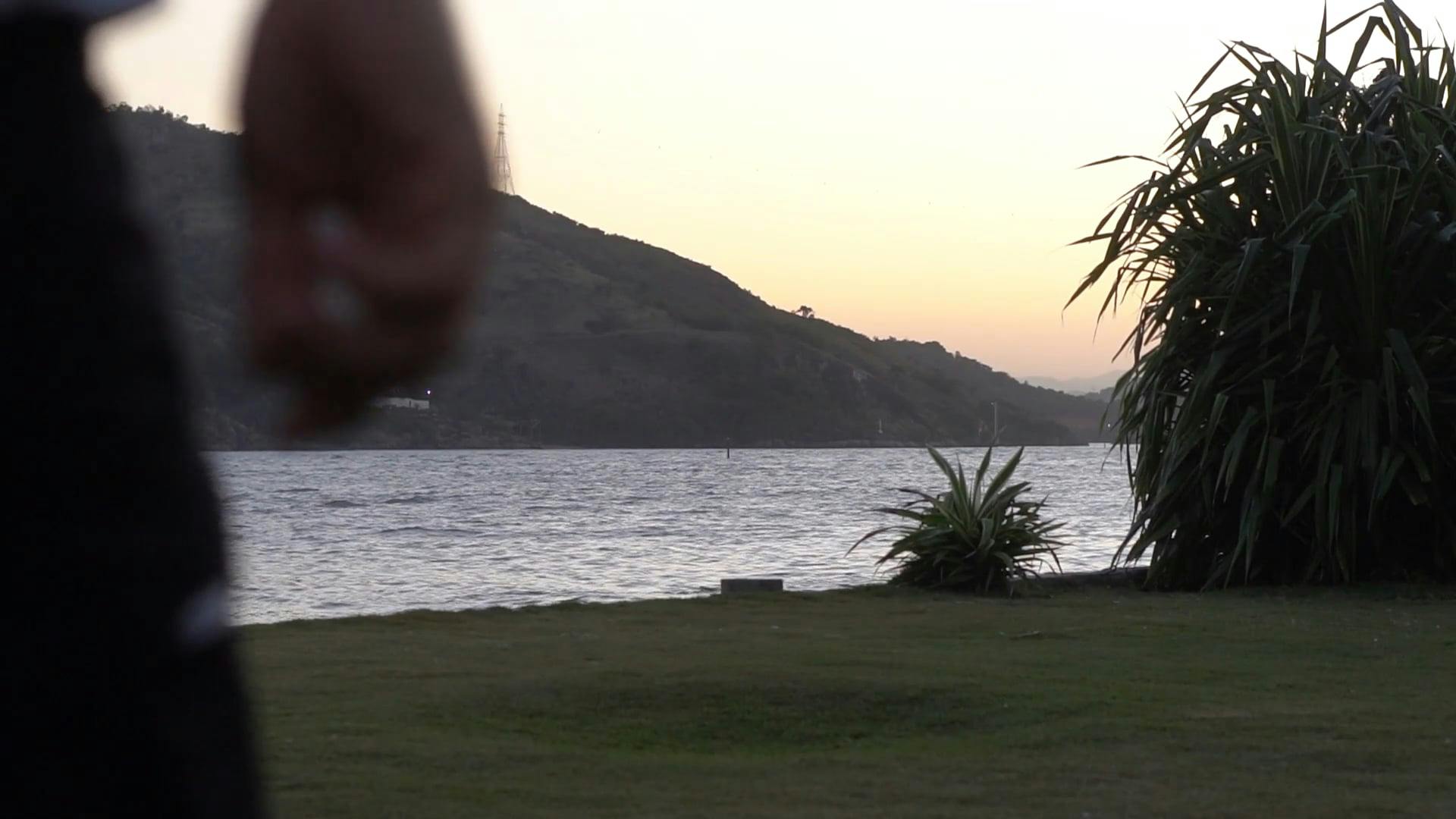 Back View Young Man Looking into Horizon Free Stock Video Footage ...
