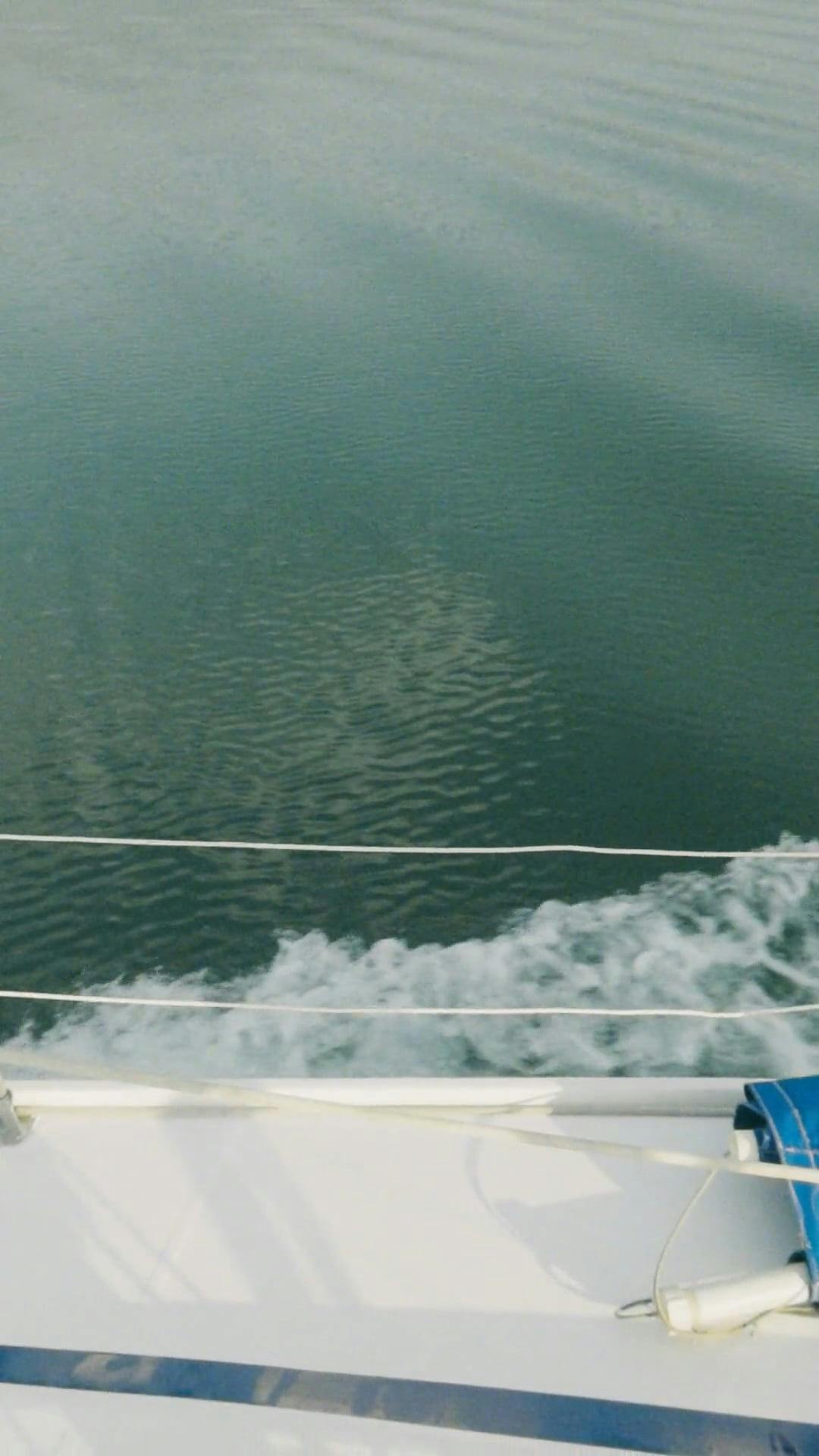 Sea Side View from Moving Boat Free Stock Video Footage, Royalty-Free ...