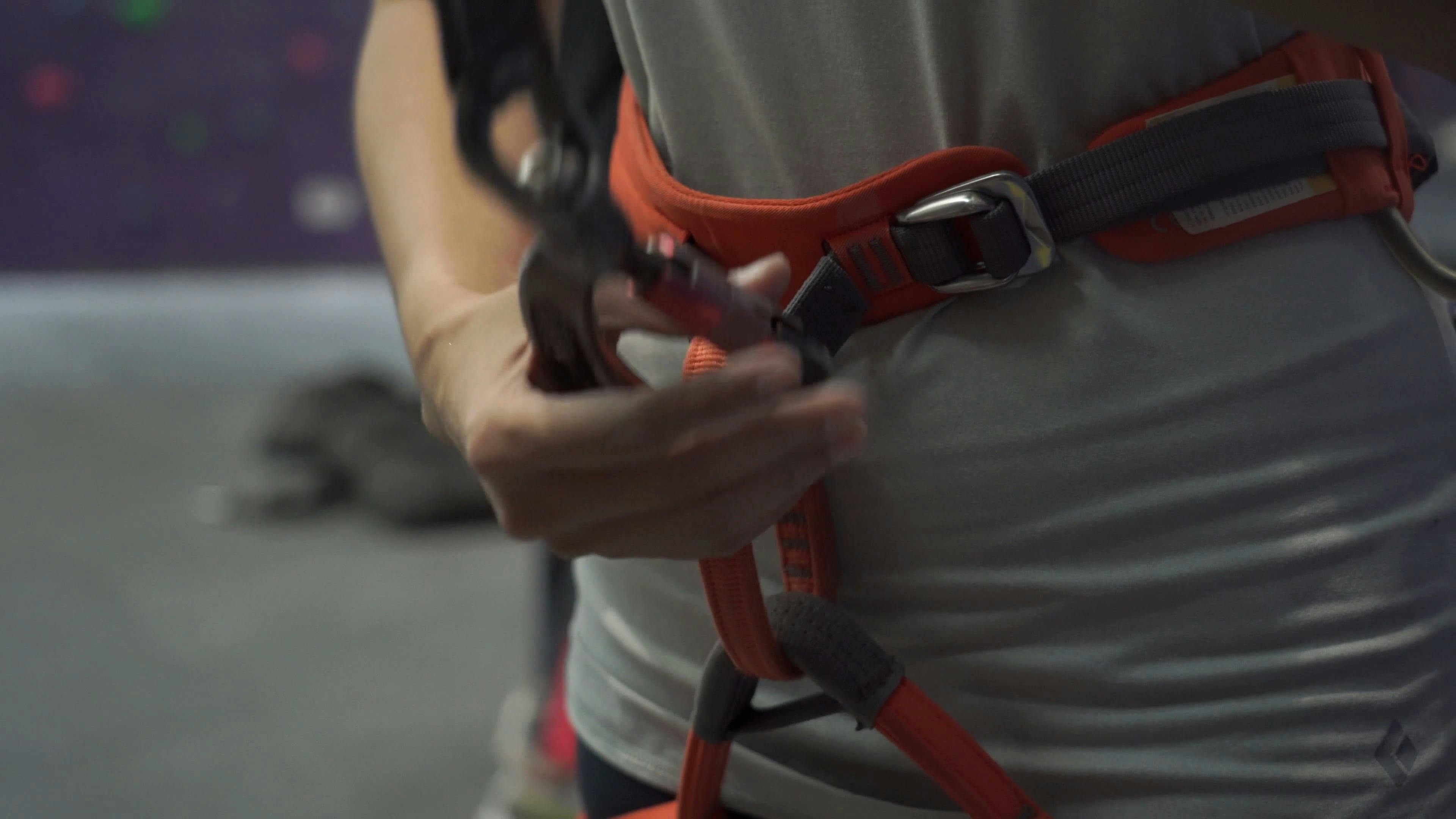 A Close-Up Video of a Person Putting It's Harness Free Stock Video ...