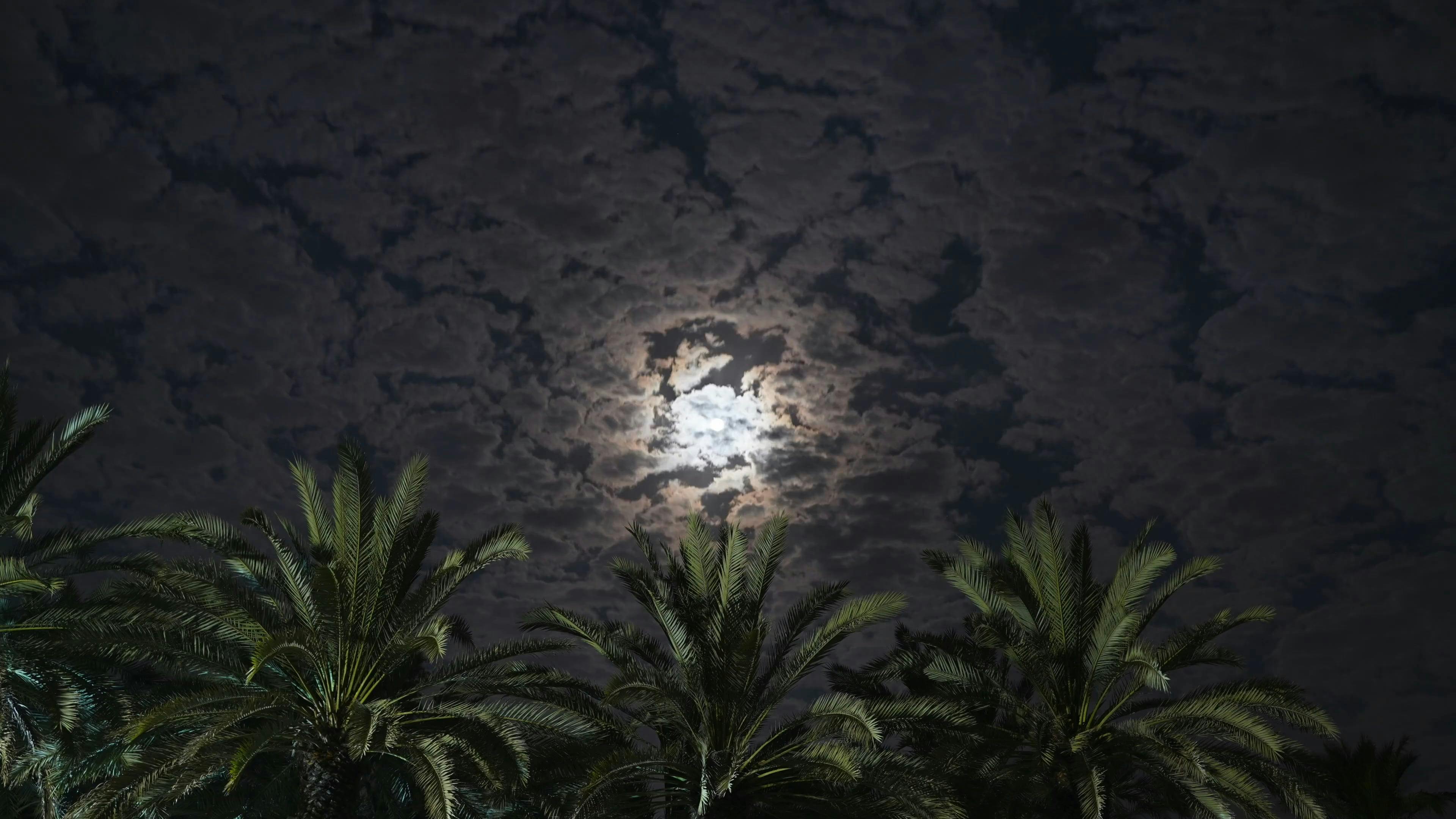 Beautiful Moon Rises through Night Clouds · Free Stock Video
