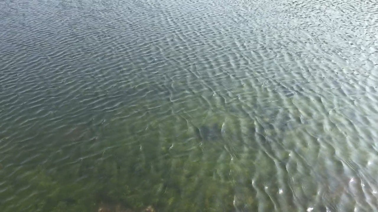 Wind Blows Causes Ripples On The Lake Surface Free Stock Video Footage ...