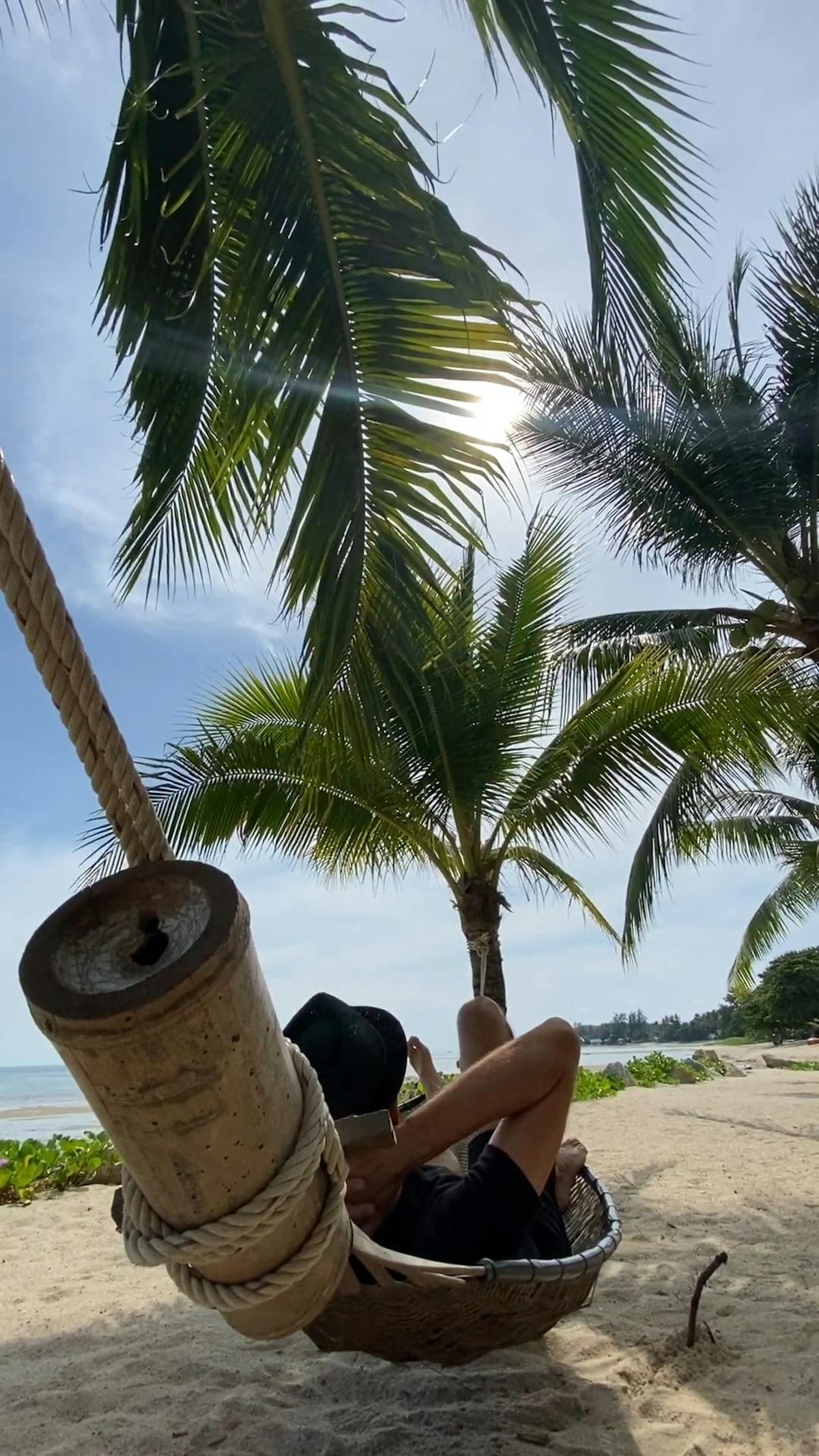 Coconut Trees Videos, Download The BEST Free 4k Stock Video Footage ...