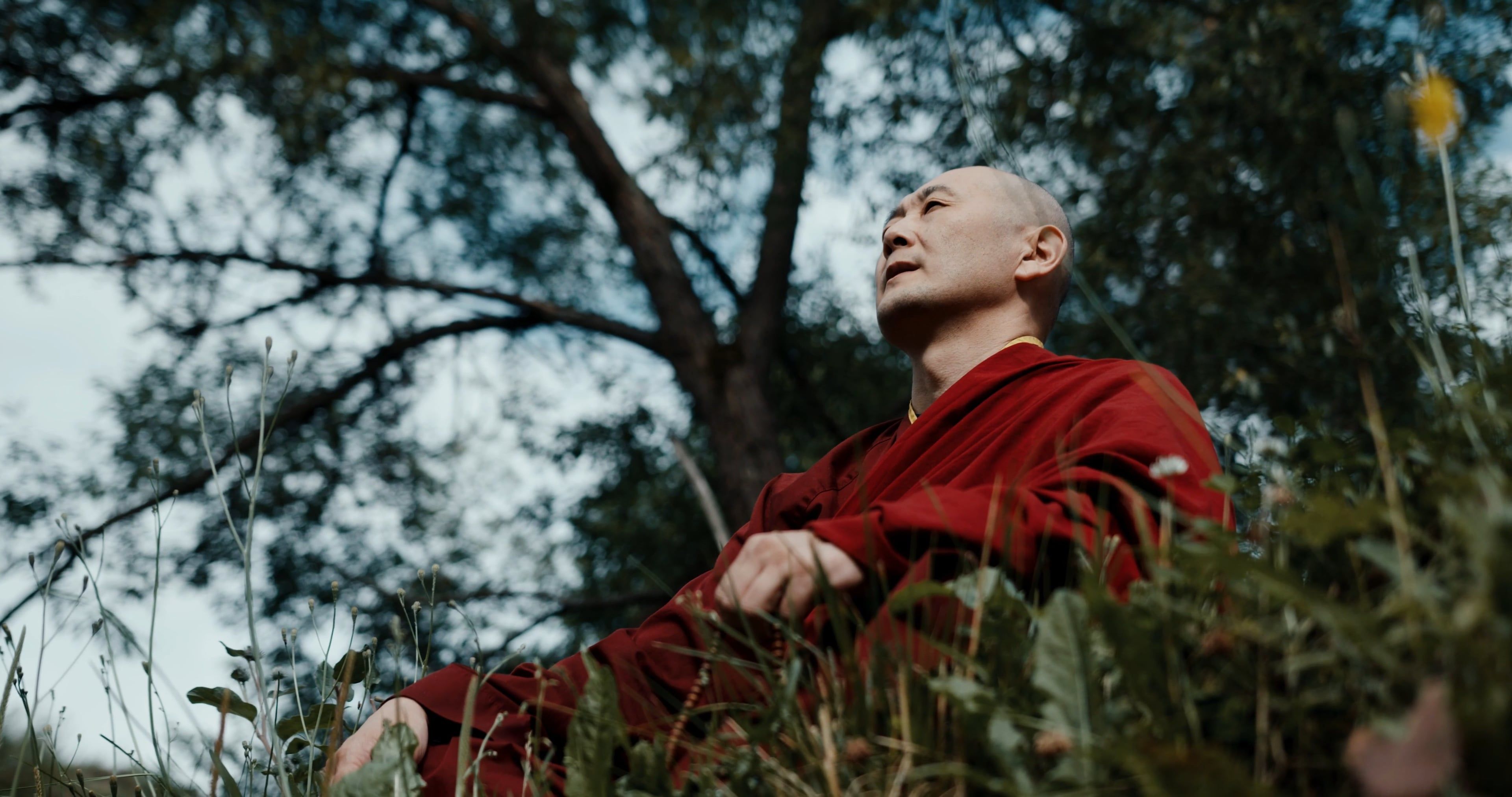 A Monk Meditating Outdoors Free Stock Video Footage, Royalty-Free 4K ...