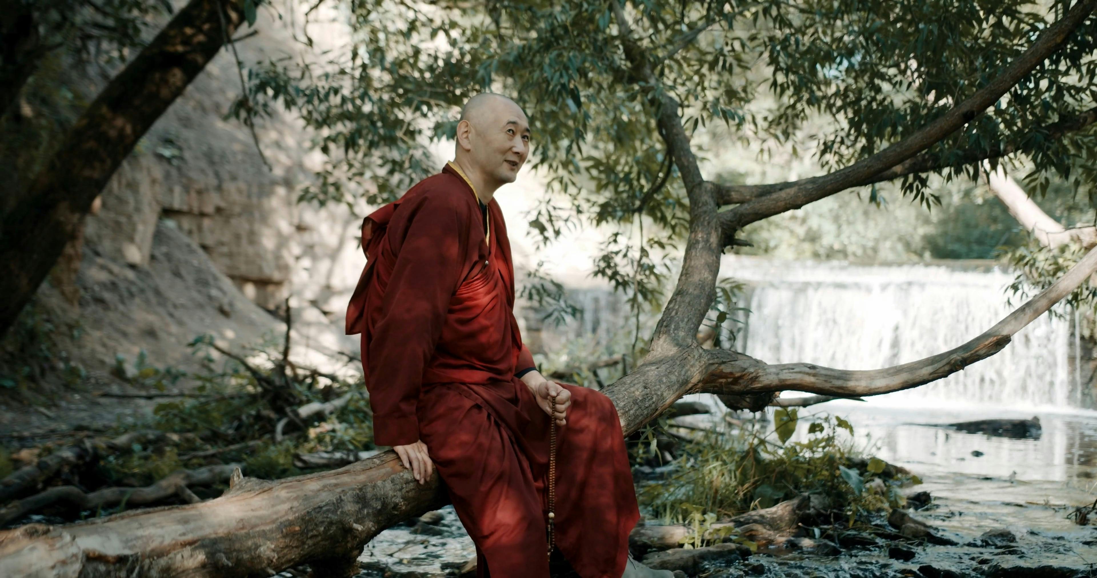A Monk Sitting on a Tree Branch Free Stock Video Footage, Royalty-Free ...