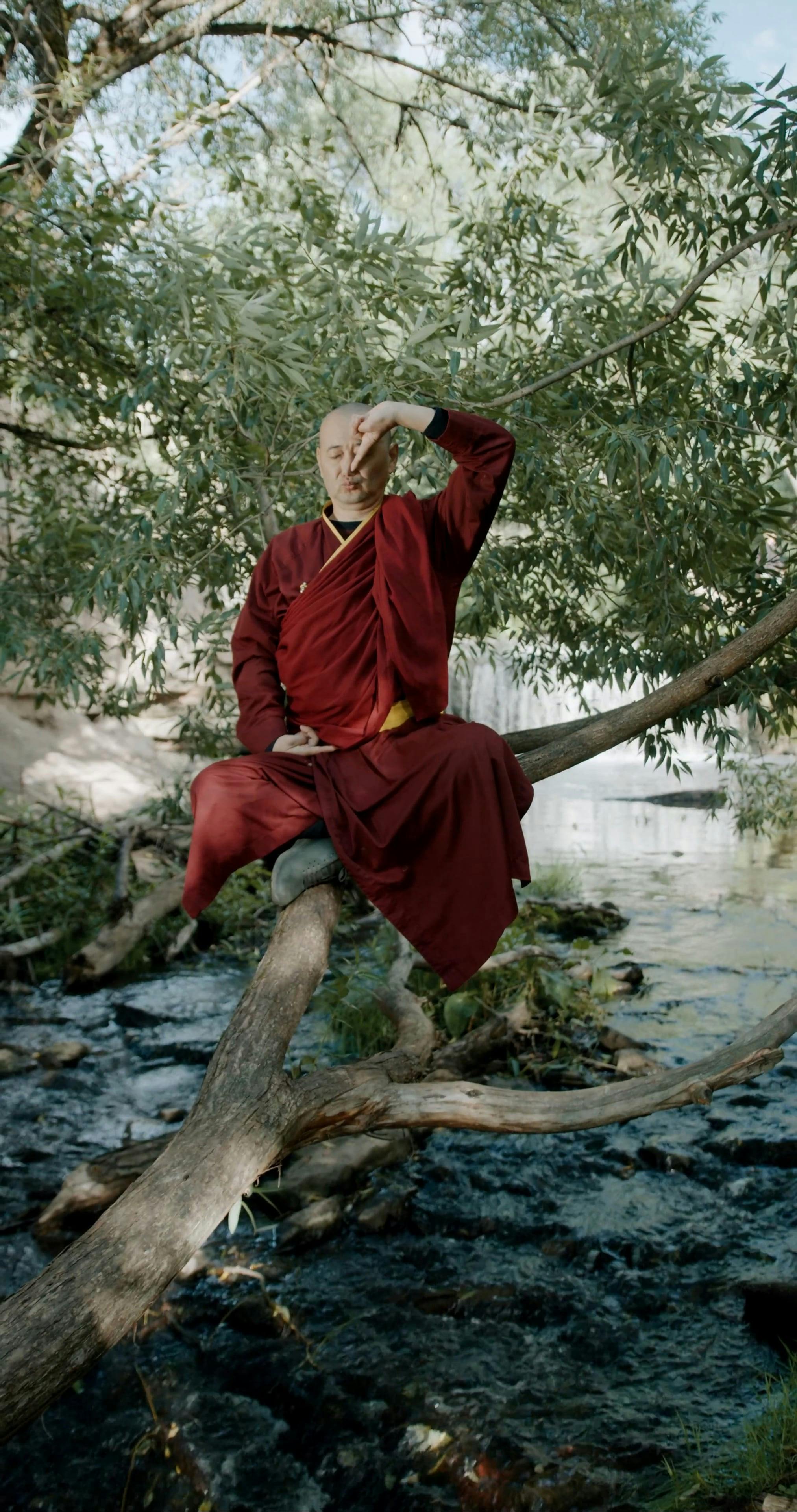 A Monk Meditating on a Tree · Free Stock Video