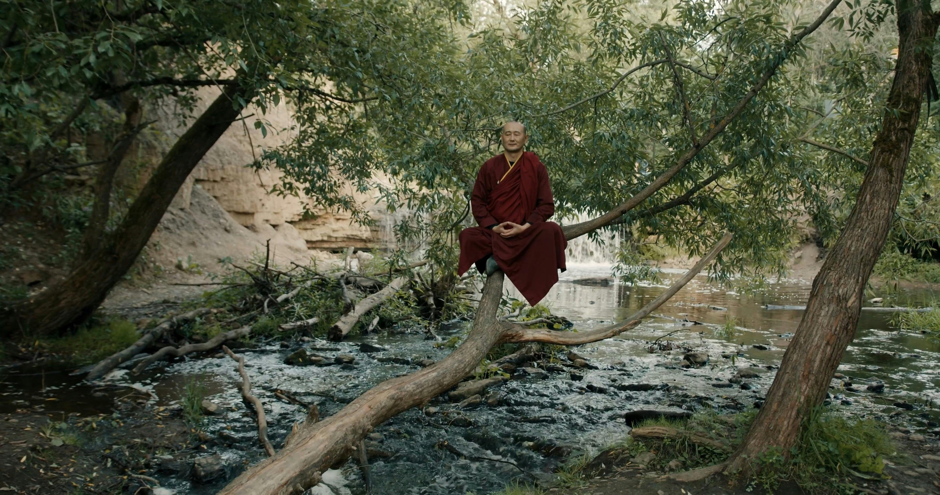 A Monk Meditating on a Tree · Free Stock Video