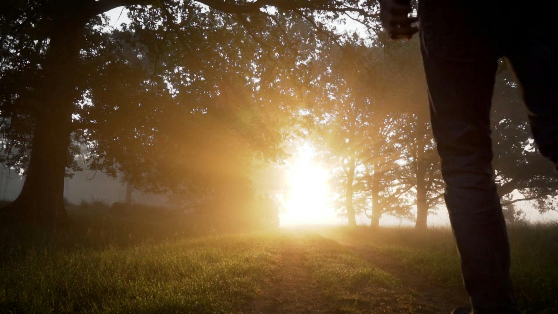 Hints Of Light 140 Photos & Videos Collected by Lisa from Pexels