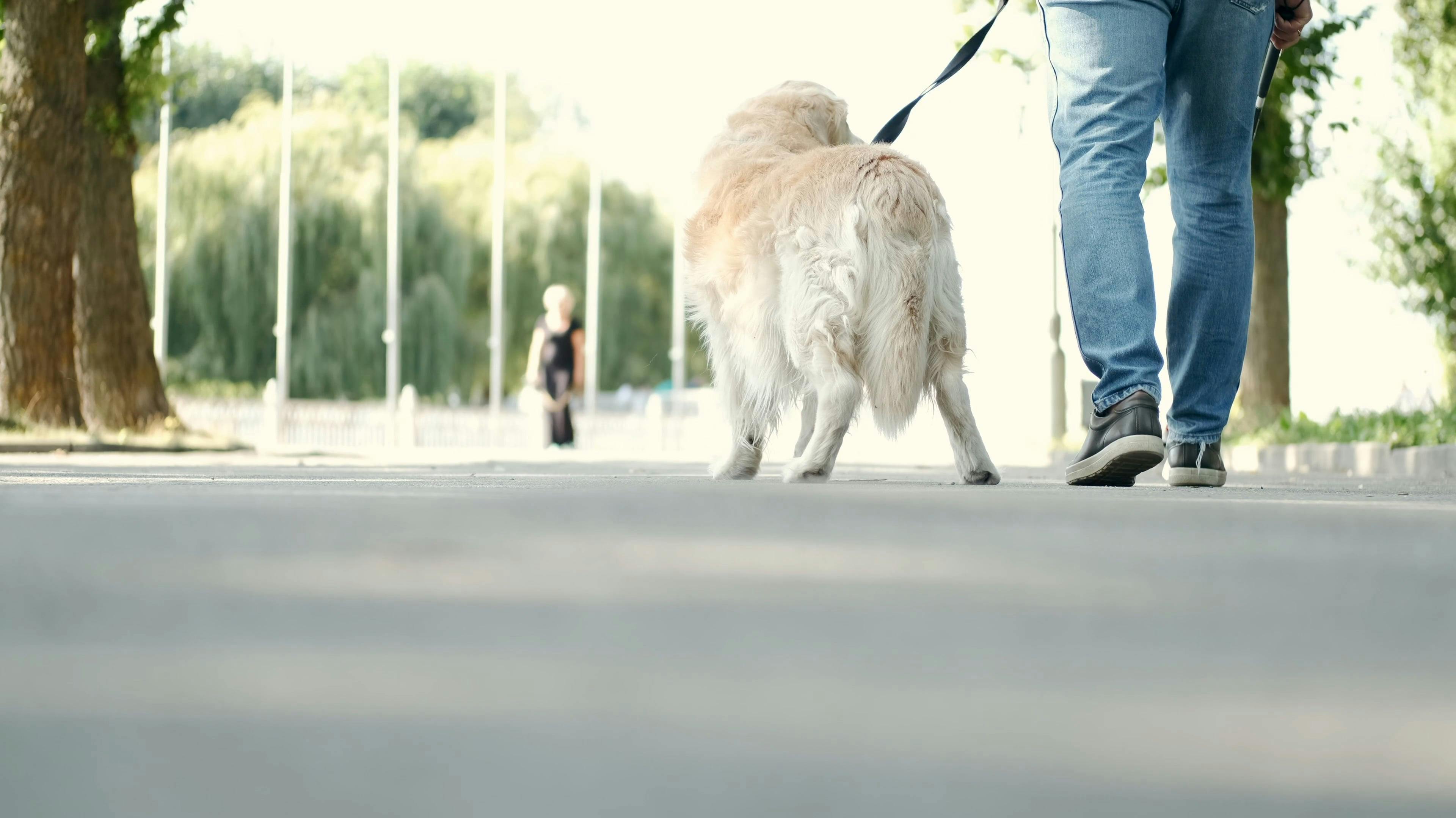 Vídeos de stock gratuitos sobre adulto, afuera, al aire libre, amistad ...