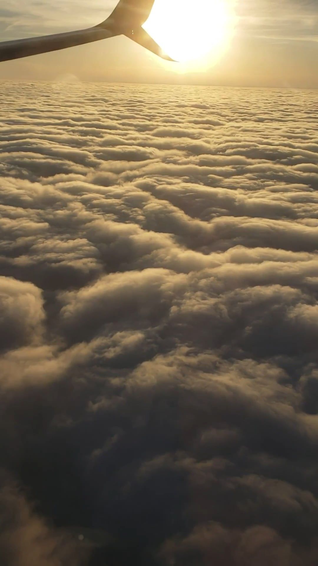 Plane Flying Videos, Download The BEST Free 4k Stock Video Footage ...
