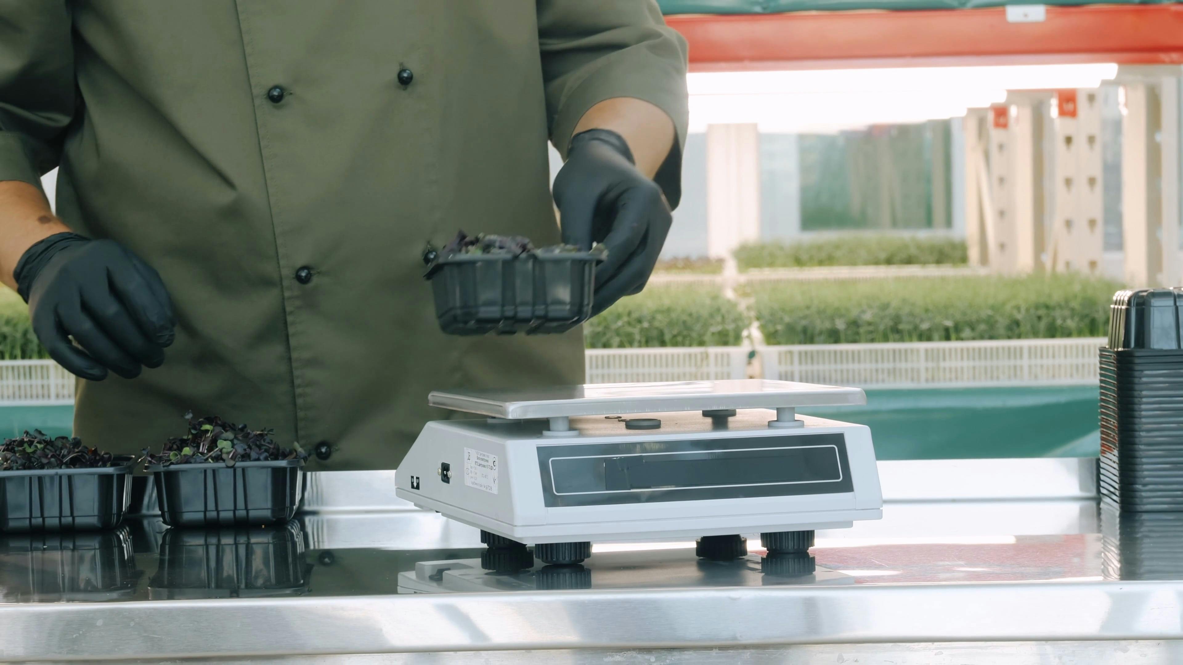 Person Weighing the Containers Free Stock Video Footage, Royalty-Free ...