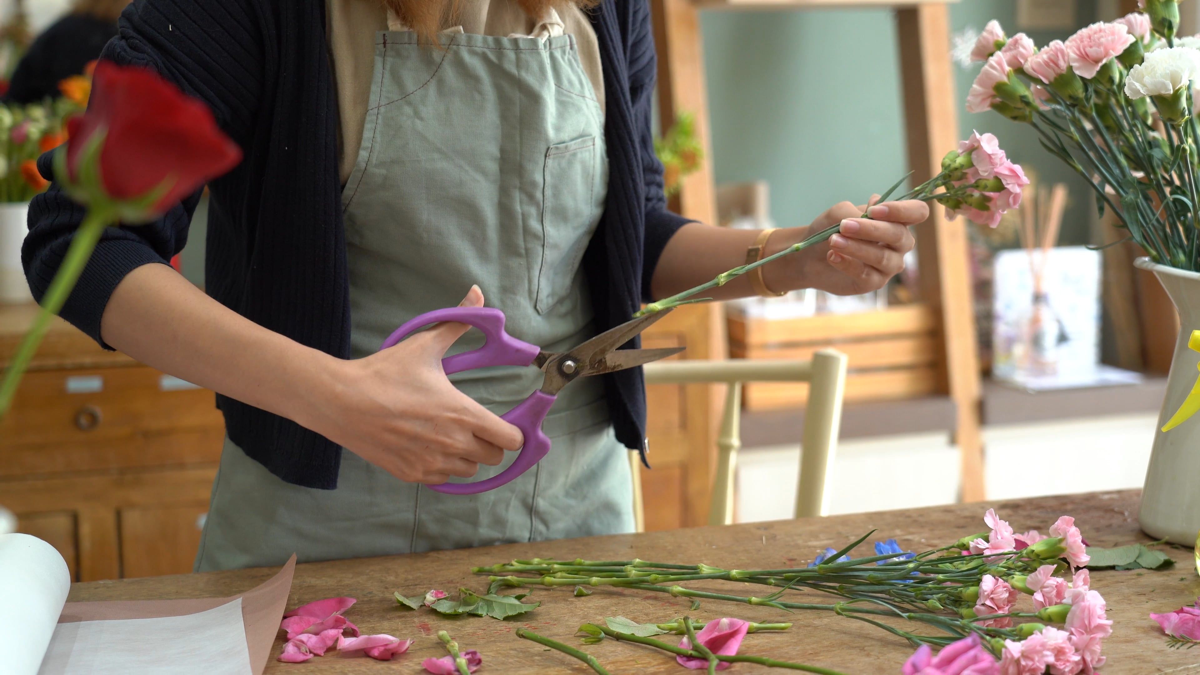 A Person Trimming Flower Stems Free Stock Video Footage, Royalty-Free ...