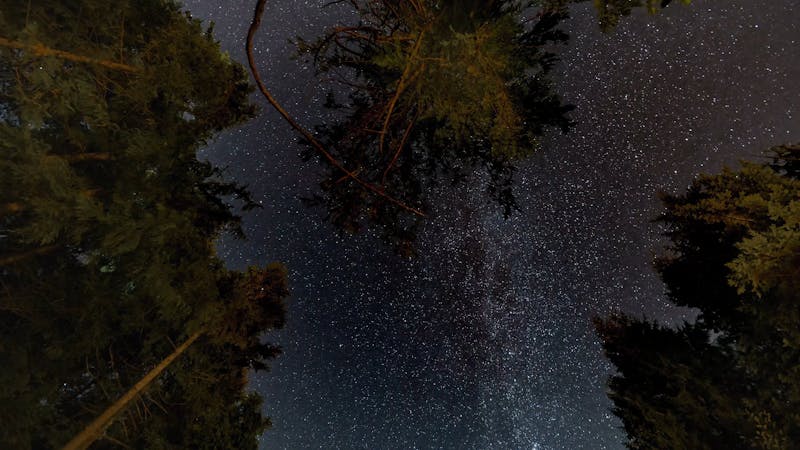 Nature Night Videos, Download The BEST Free 4k Stock Video Footage ...