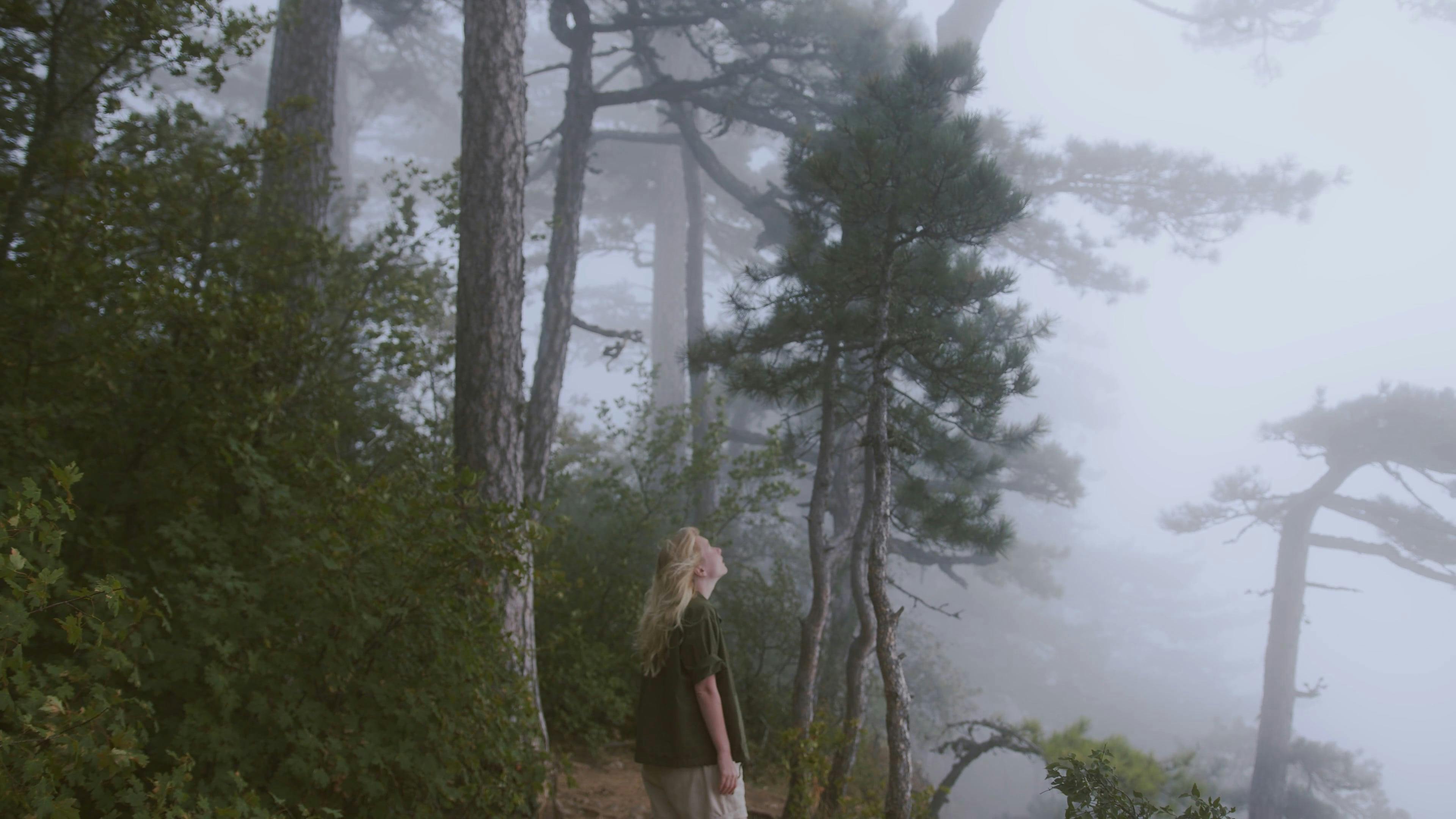 Woman Enjoying a Chilling Mountain Views from a Cliff Free Stock Video ...