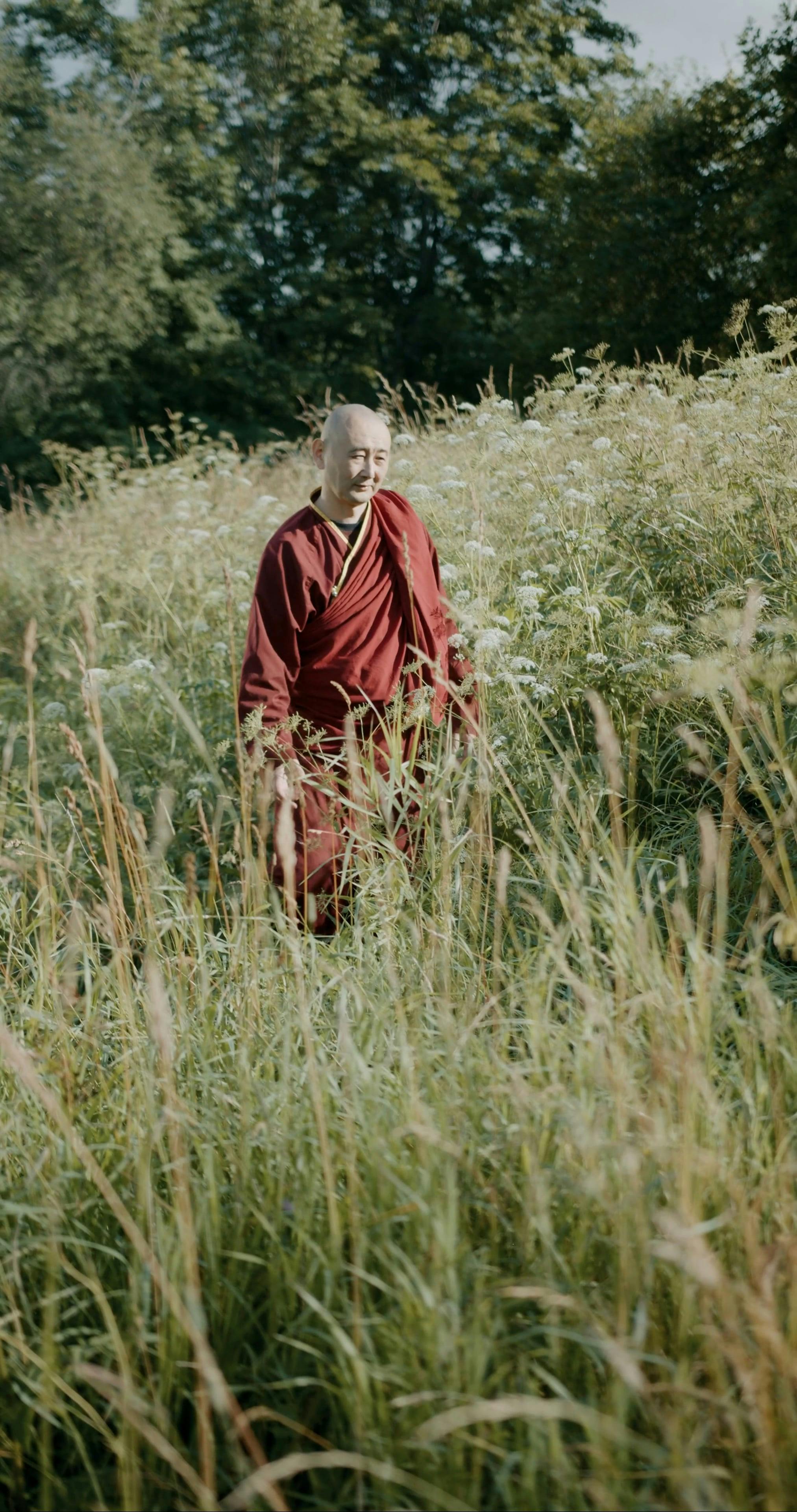 Pilgrimage Path Videos, Download The BEST Free 4k Stock Video Footage ...