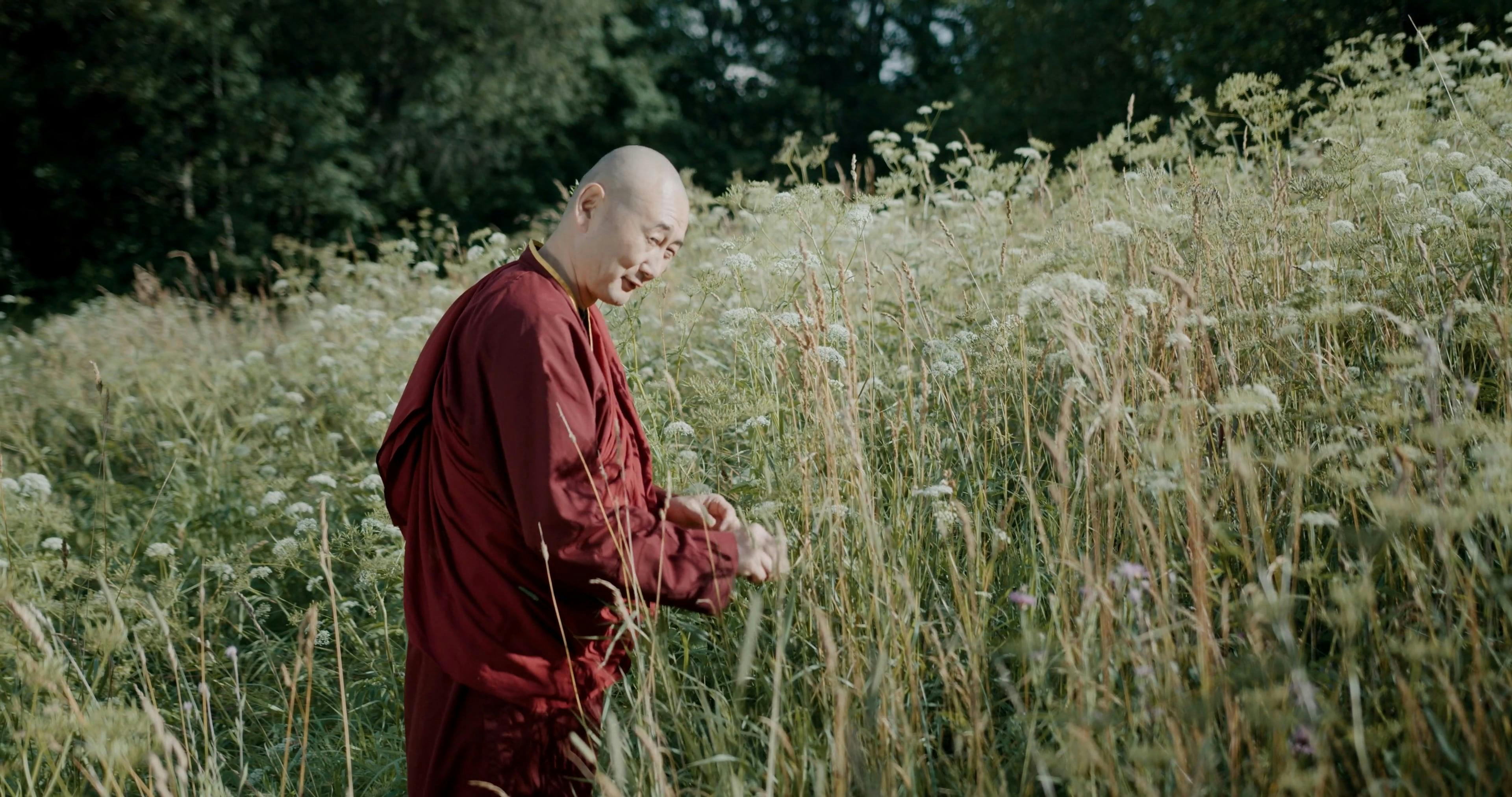 World Peace Videos, Download The BEST Free 4k Stock Video Footage ...