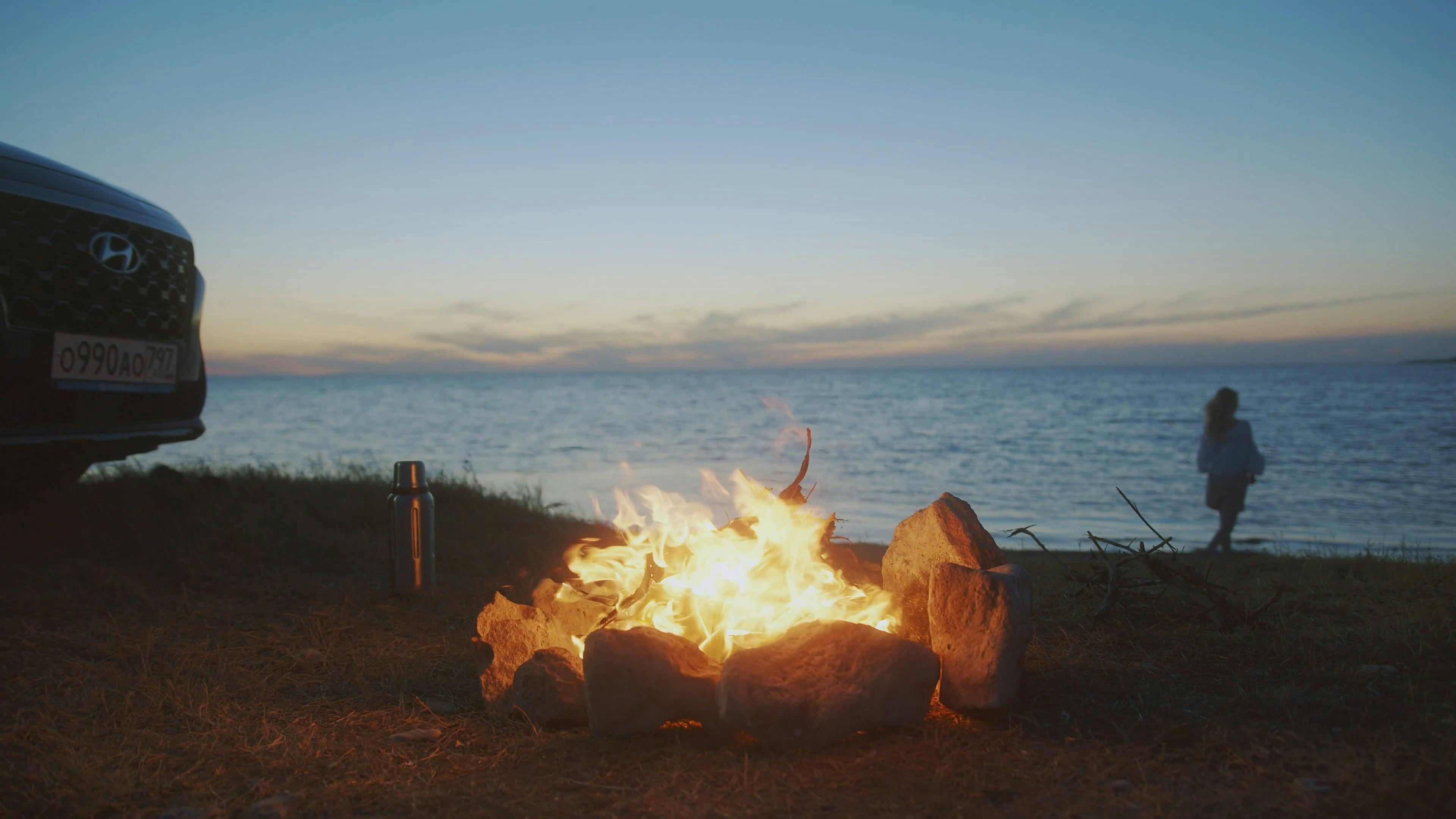 10,000+ Best Night Out Videos · 100% Free Download · Pexels Stock Videos