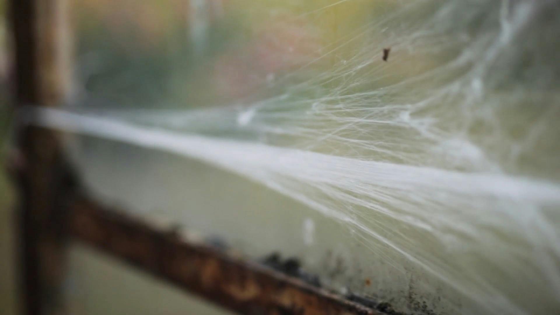 Old Web Videos, Download The BEST Free 4k Stock Video Footage & Old Web ...