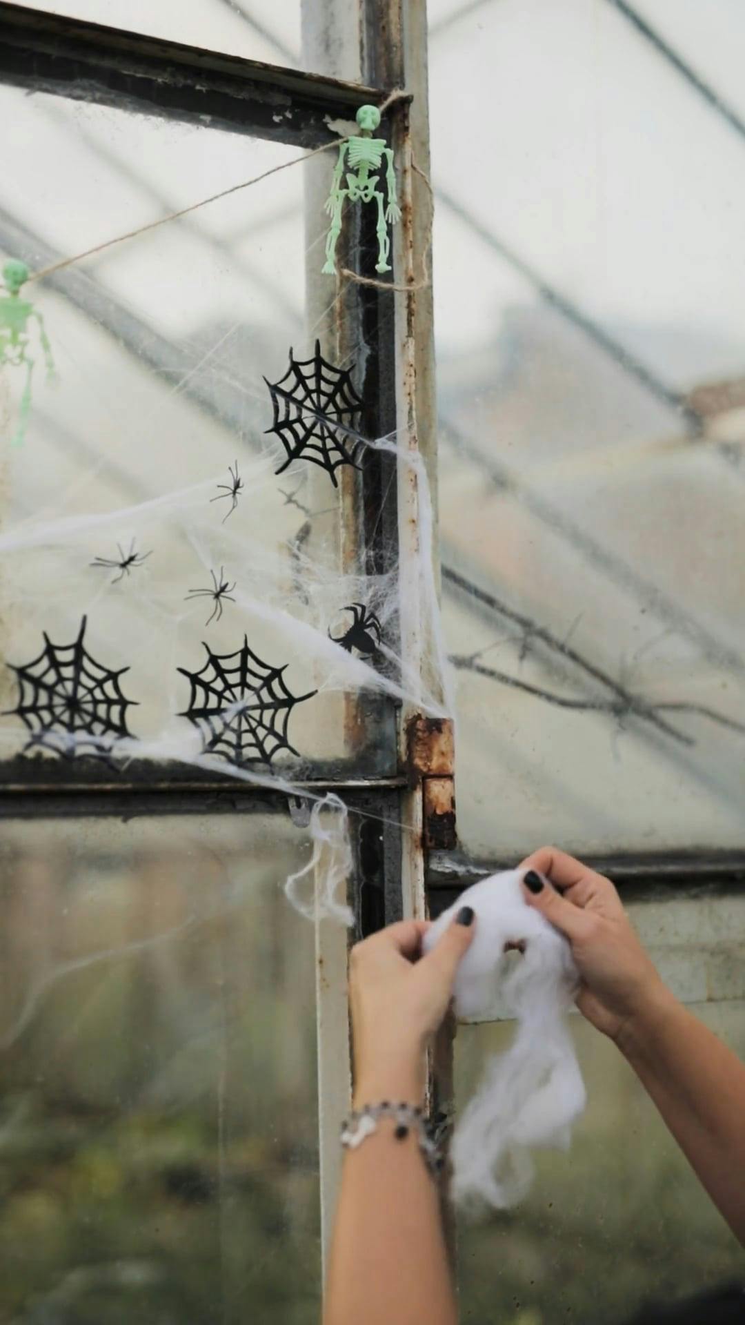 Horror Plan Videos, Download The BEST Free 4k Stock Video Footage ...