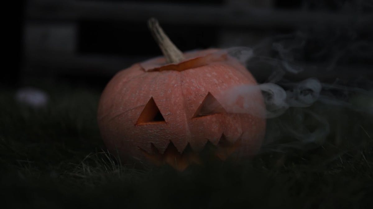 Pumpkin Videos, Download The BEST Free 4k Stock Video Footage & Pumpkin ...