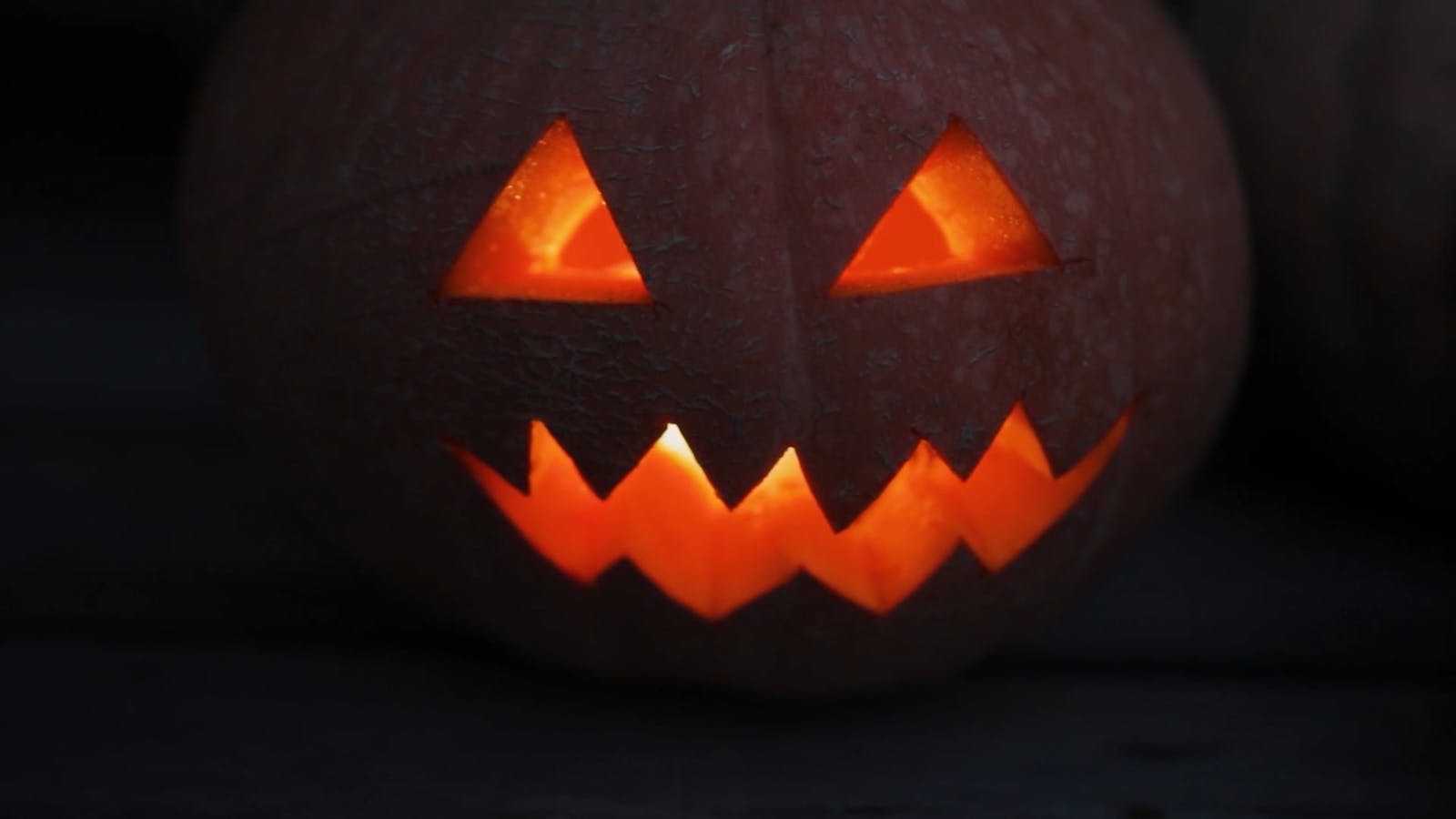 Halloween Videos, Download The BEST Free 4k Stock Video Footage ...